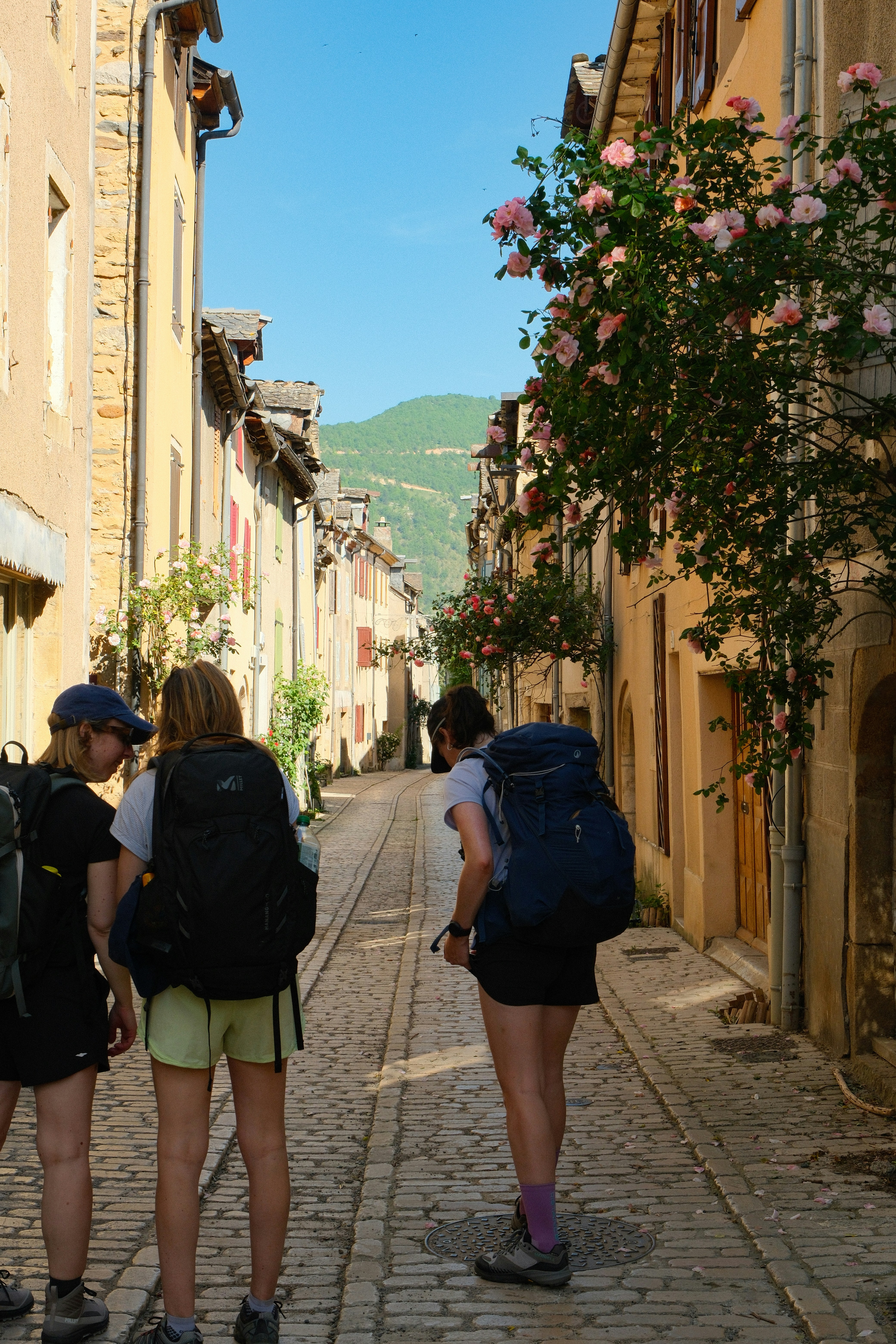 Trail of Friends Through a Sunlit Street of Roses