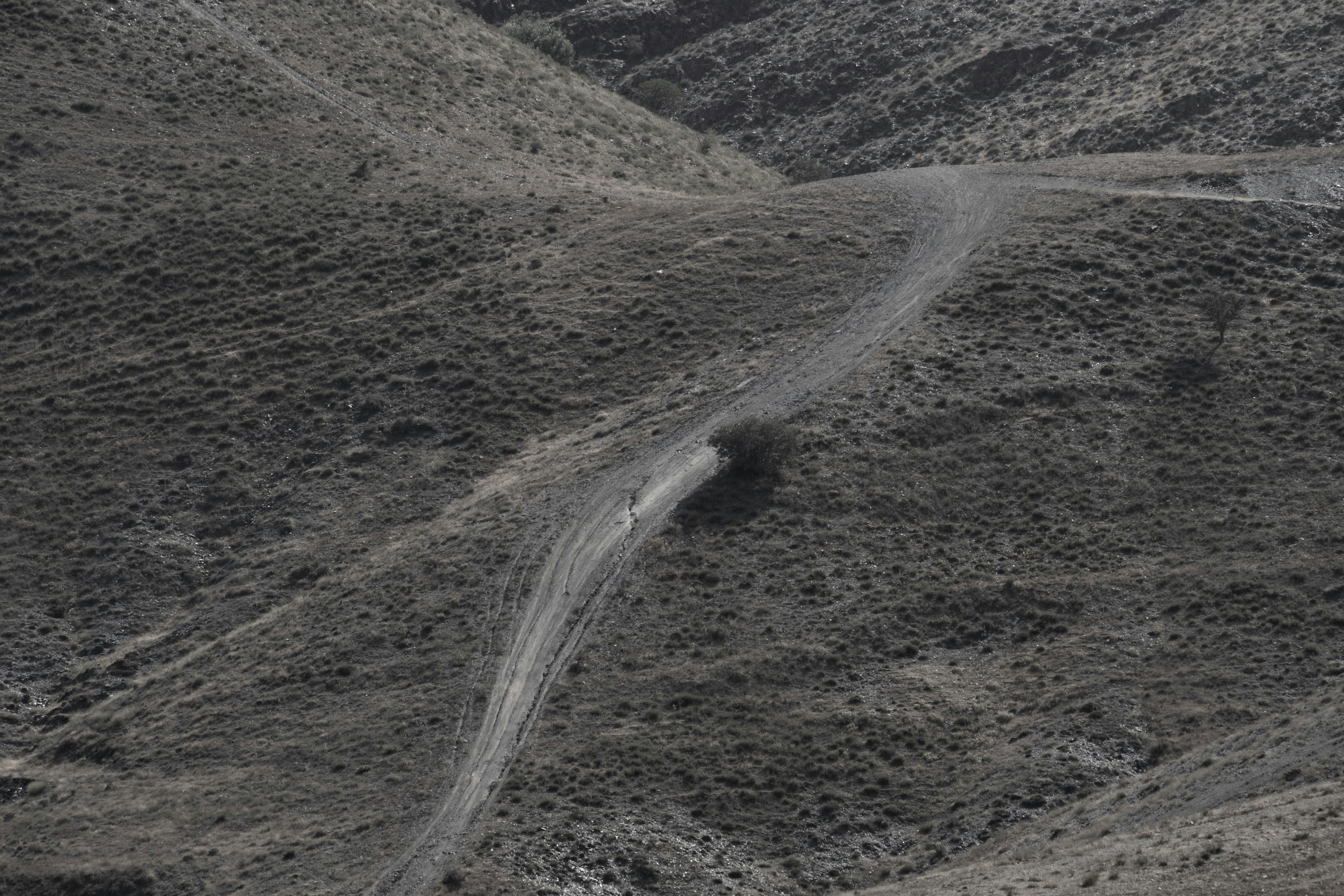 Rugged Canyon Path: A Winding Trail Carves Through Desert Scrub