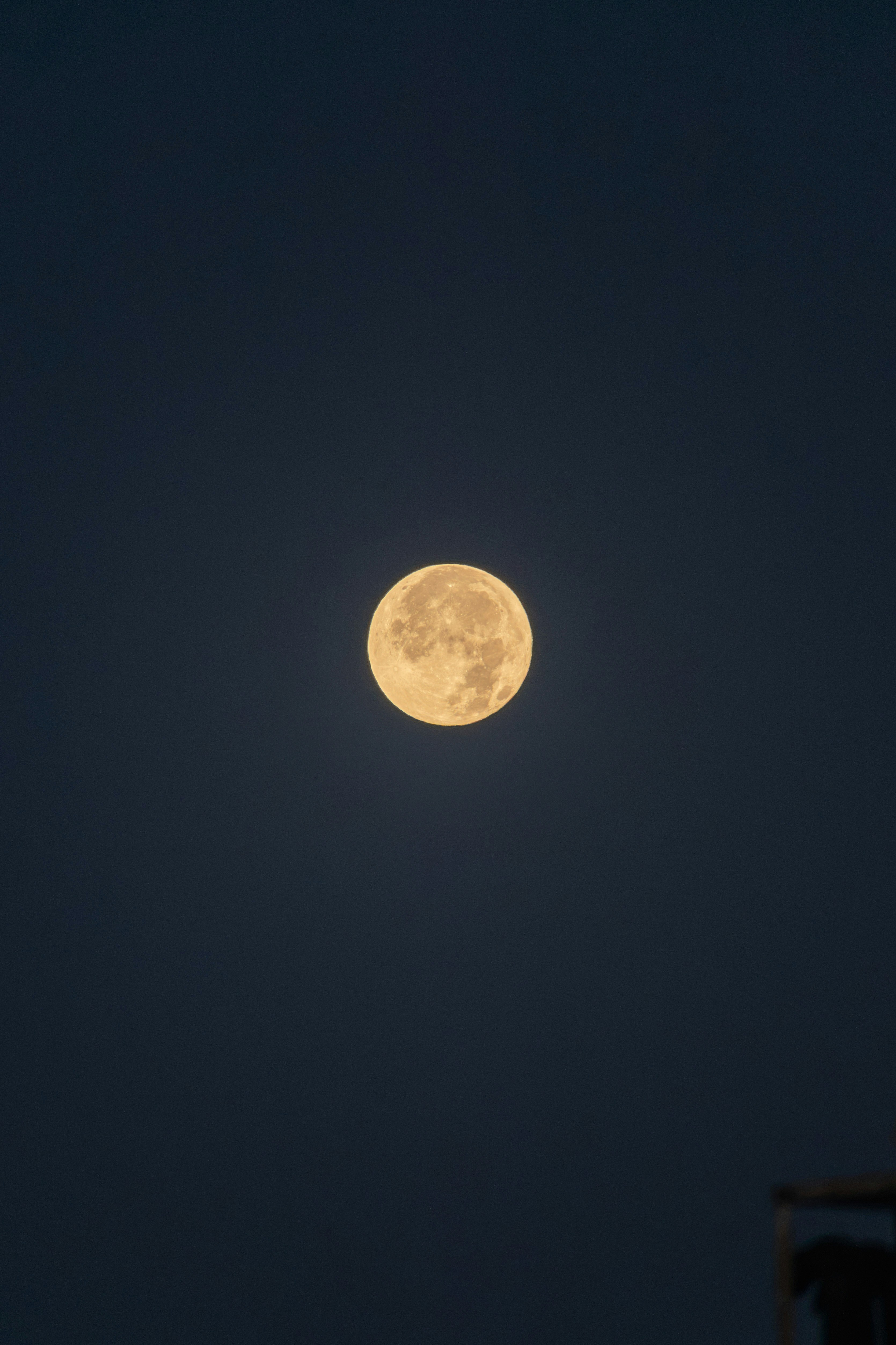 Moonrise in Nightfall: A Golden orb in a Quiet Sky