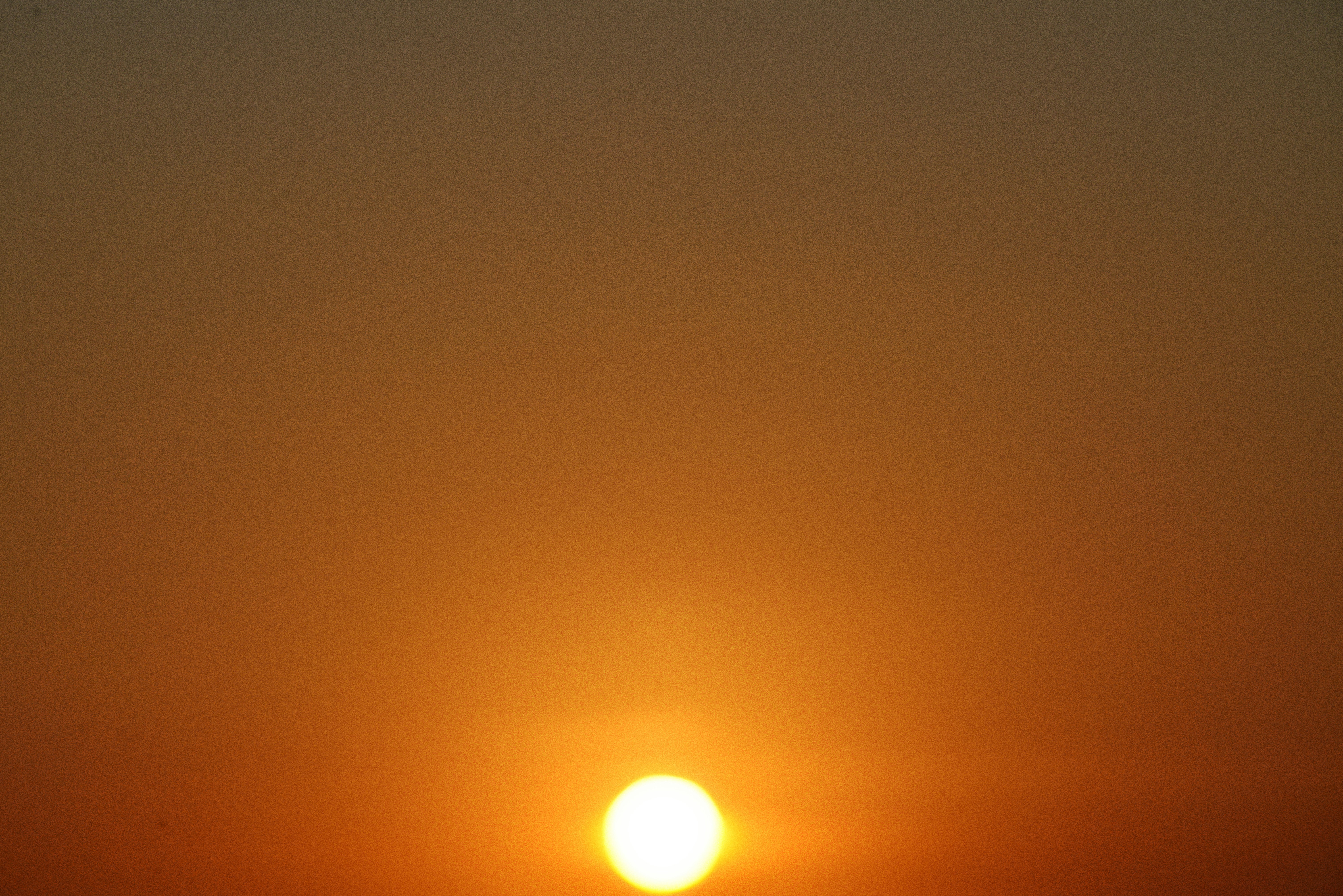 Low Sun, High Silence: The Quiet Horizon at Dusk