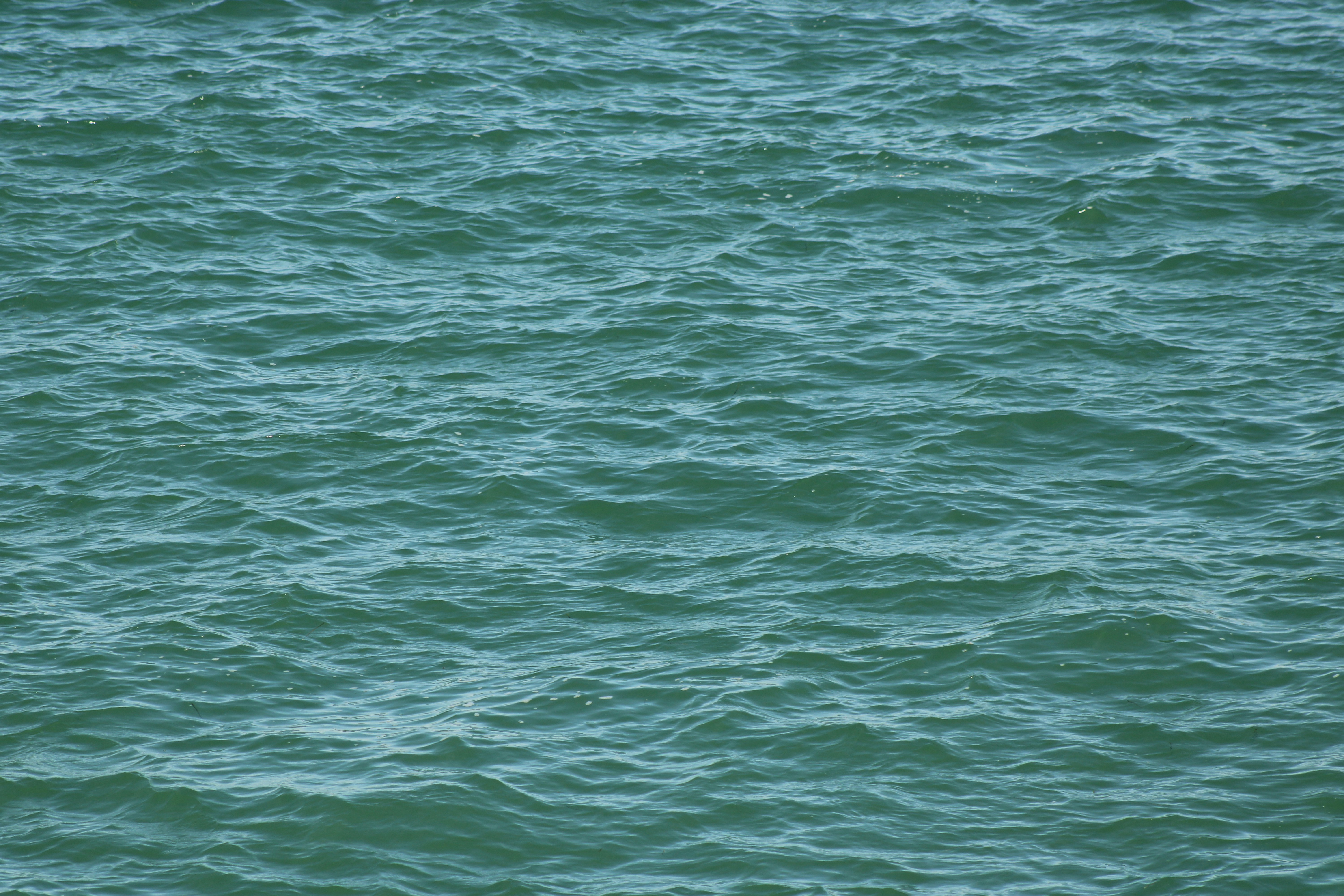 A Quiet Sweep of Teal Ocean Waves