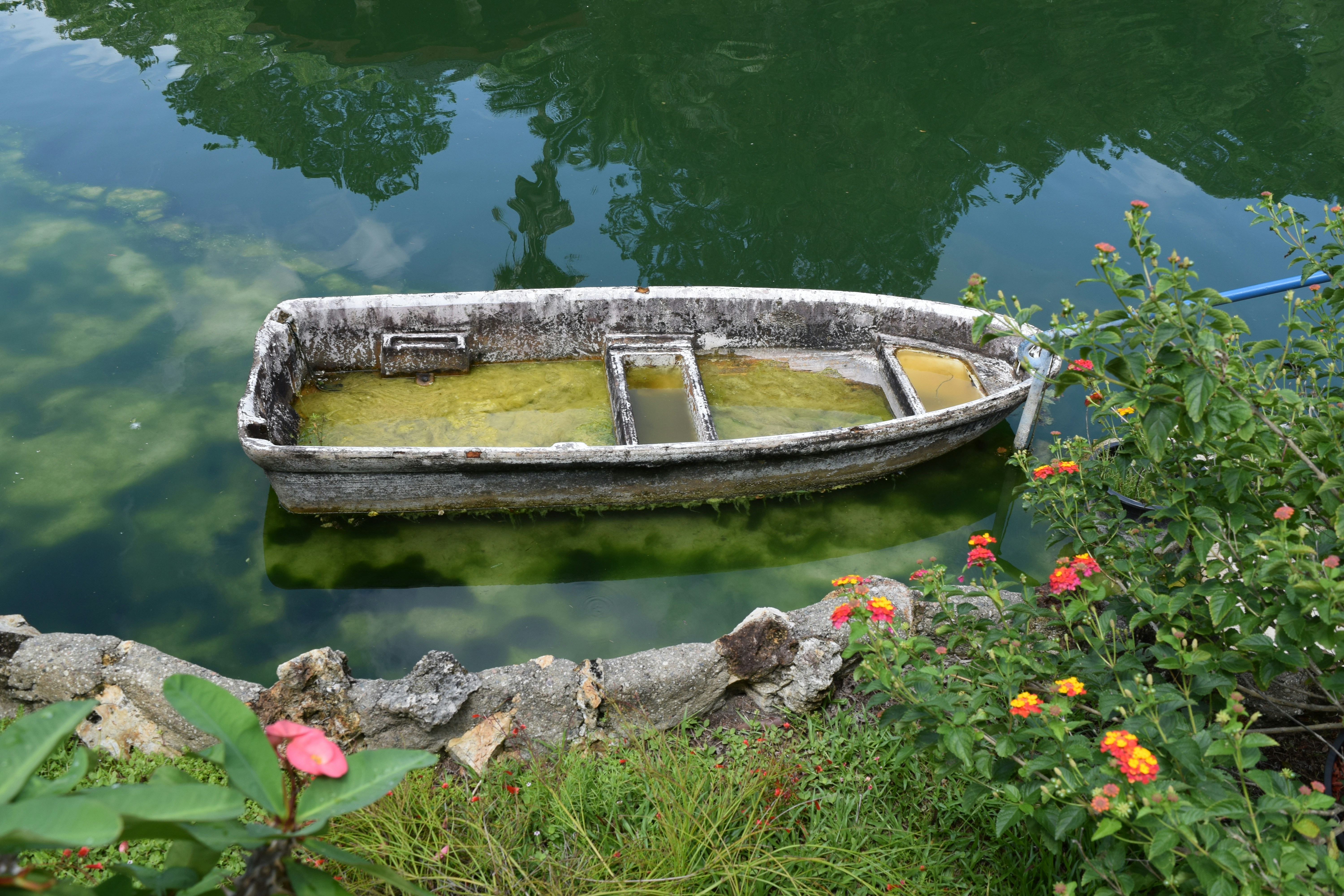 A Weathered Boat Resting in Green Waters beneath a Garden of Flowers