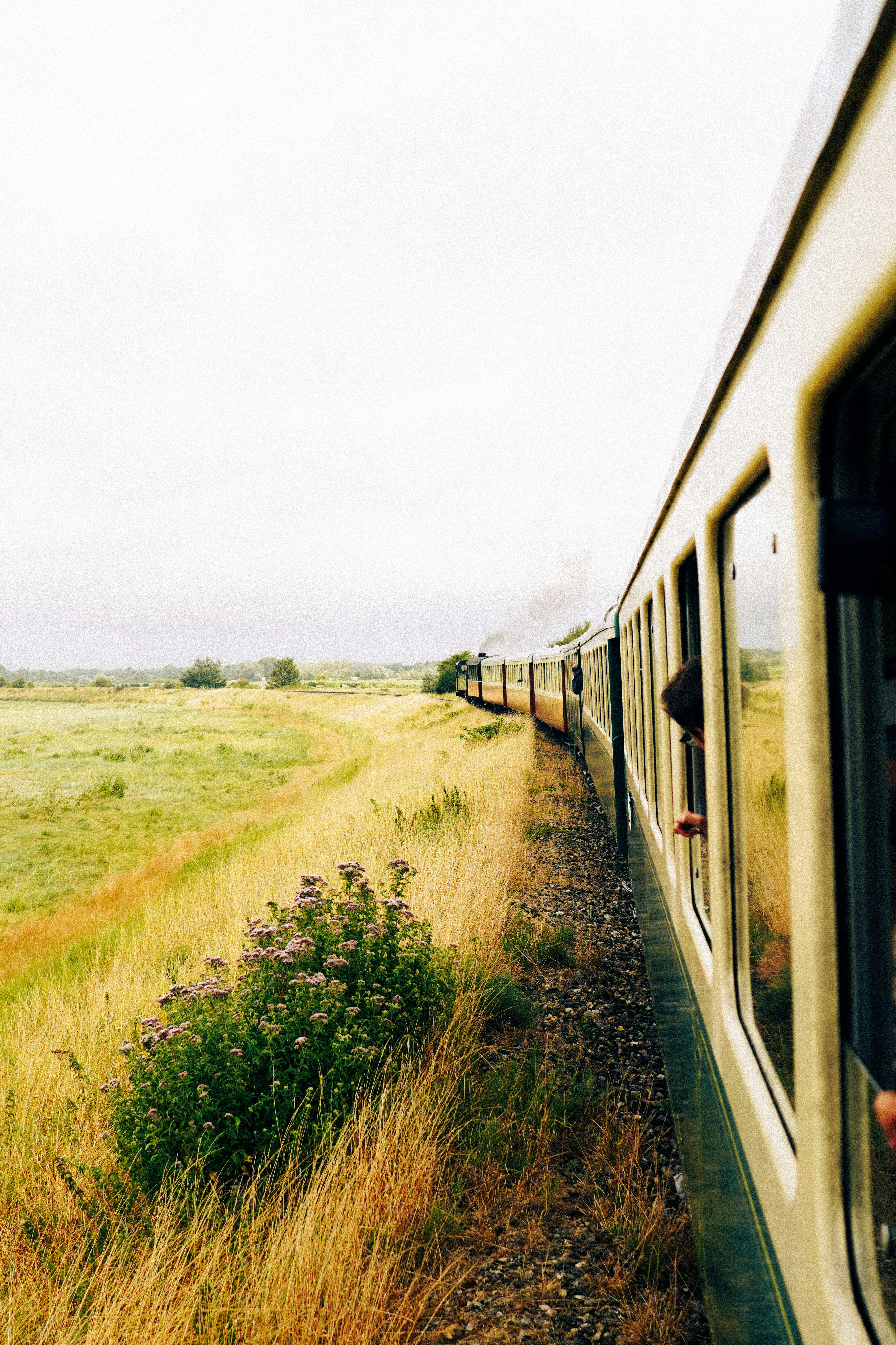 Trail of Carriage Shadows: A Passenger’s View from a Winding Train