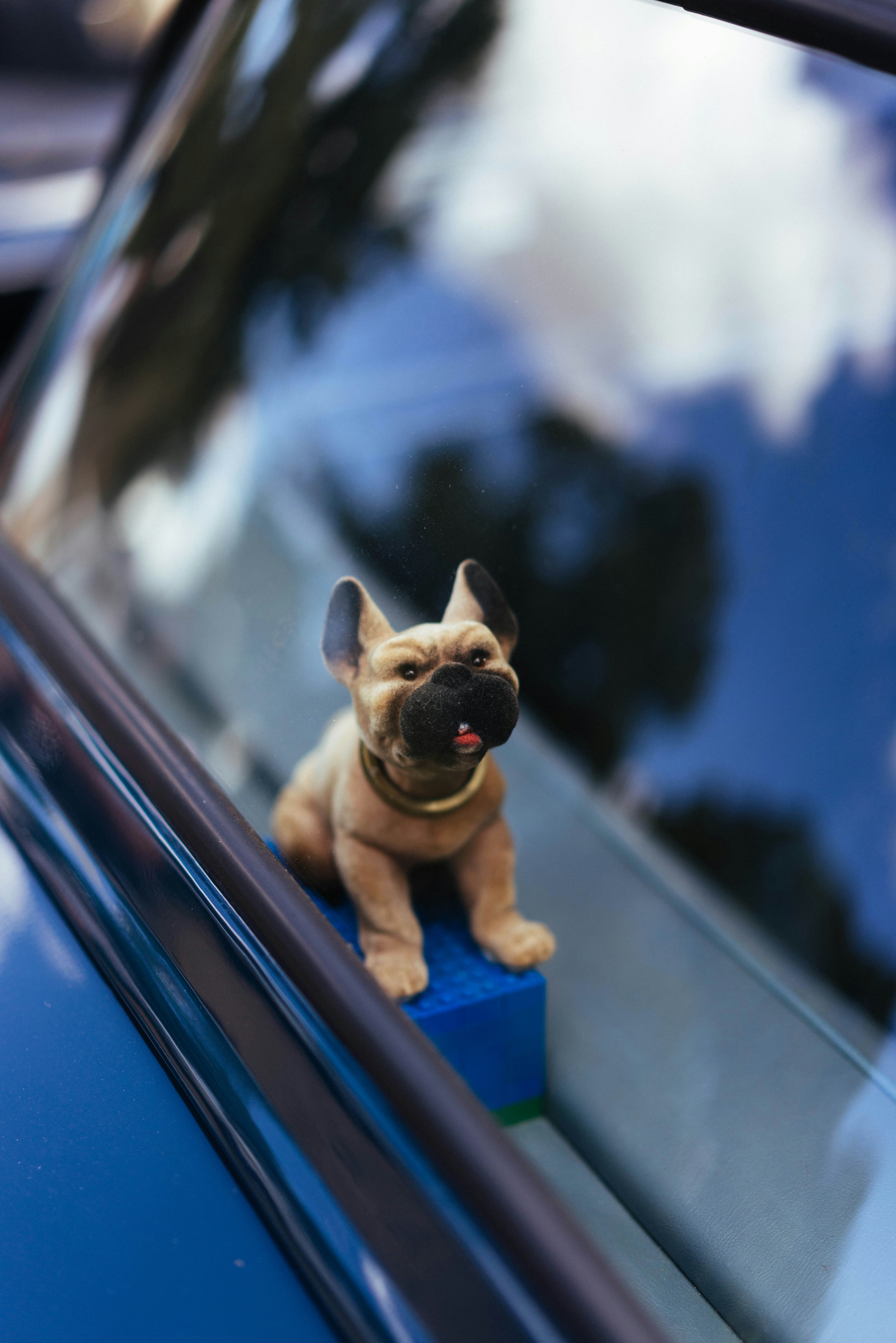 Curious Pup on a Blue Throne: A Tiny Figurine Guarding the Window
