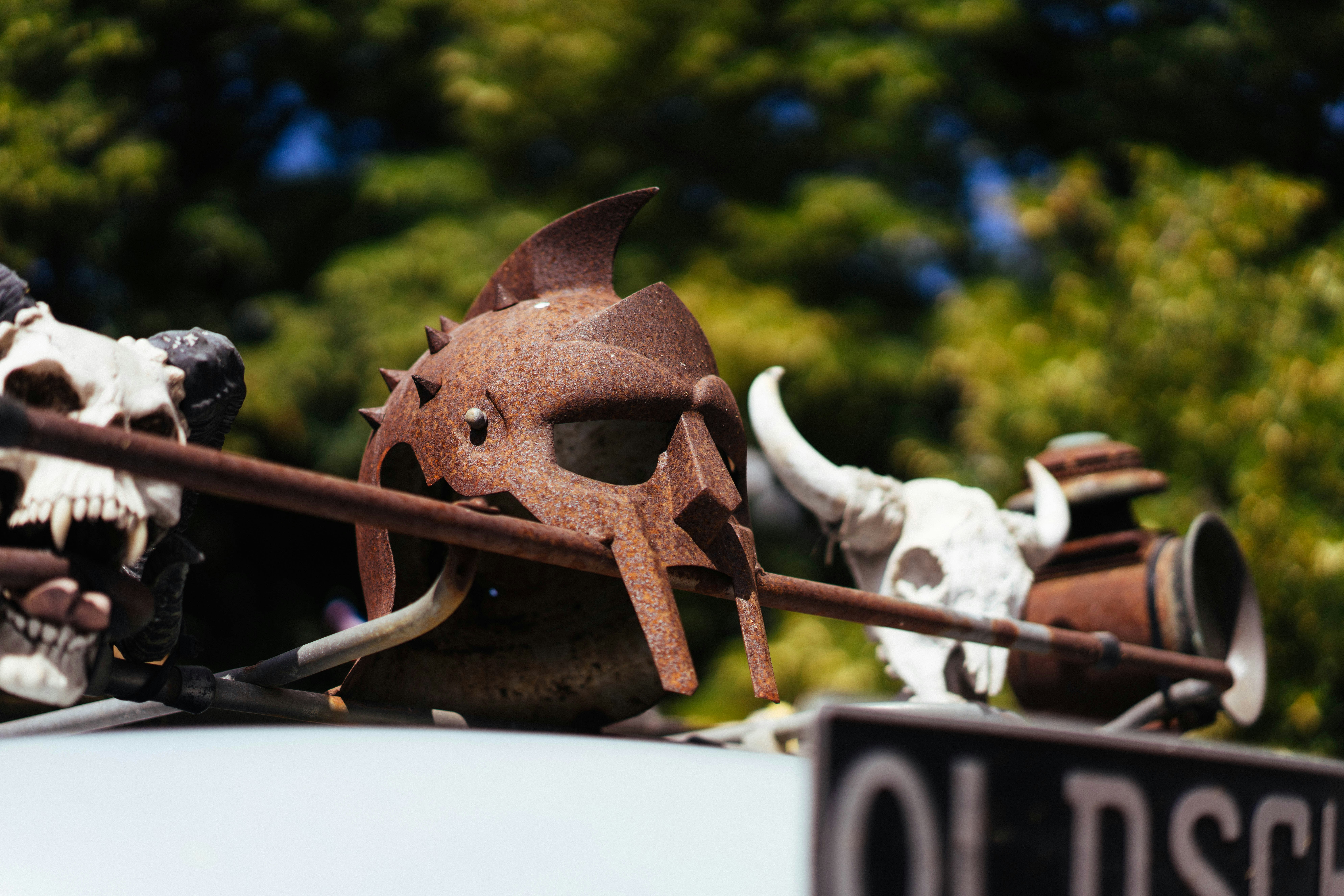 Rusty Raider Mascot Surmounts the Dashboard in Quiet Parking