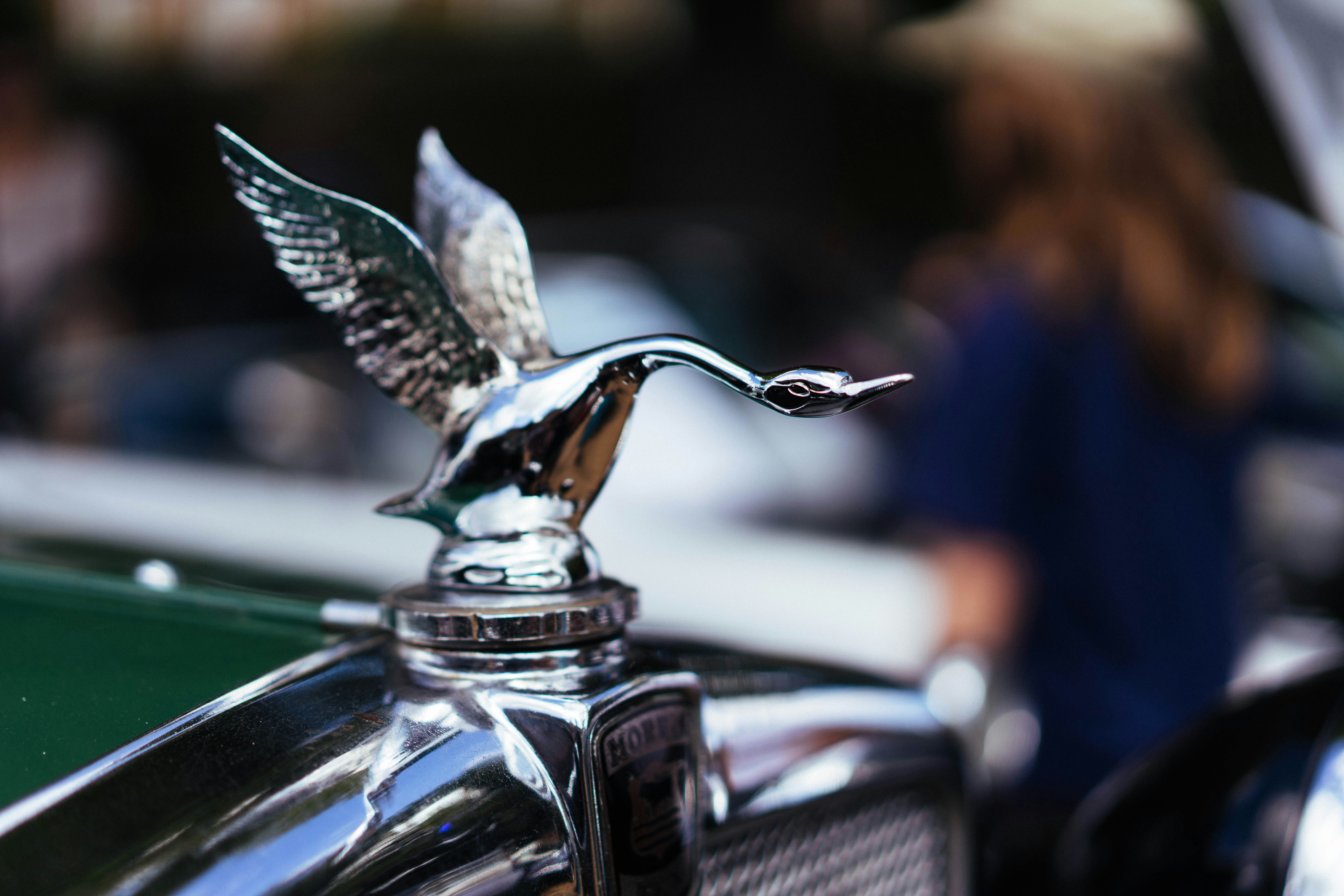 Chrome Falcon: A Gleaming Hood Ornament in Focus