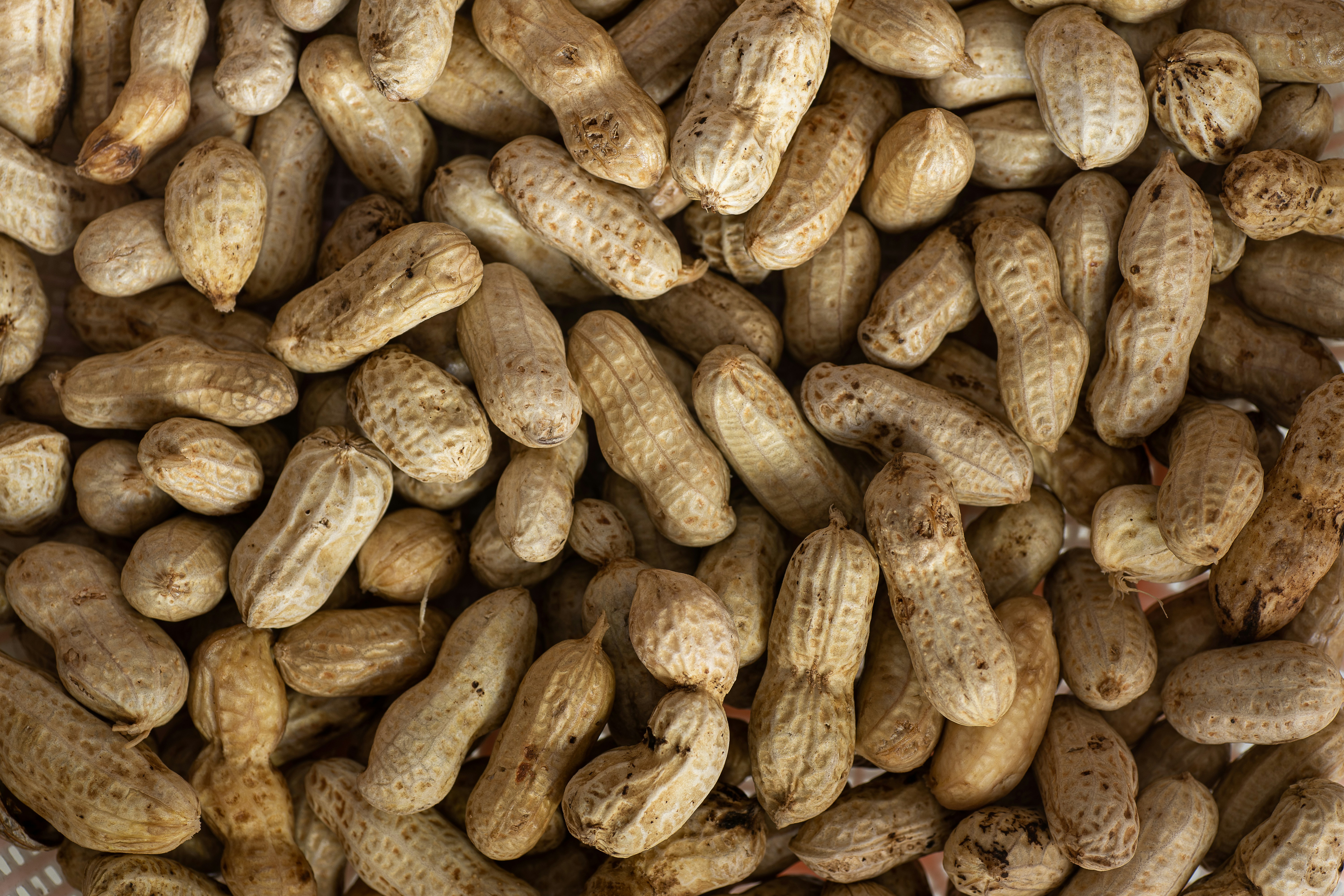 Shelled Peanut Mosaic: Crunchy Pebbles in Light-Tinted Shells