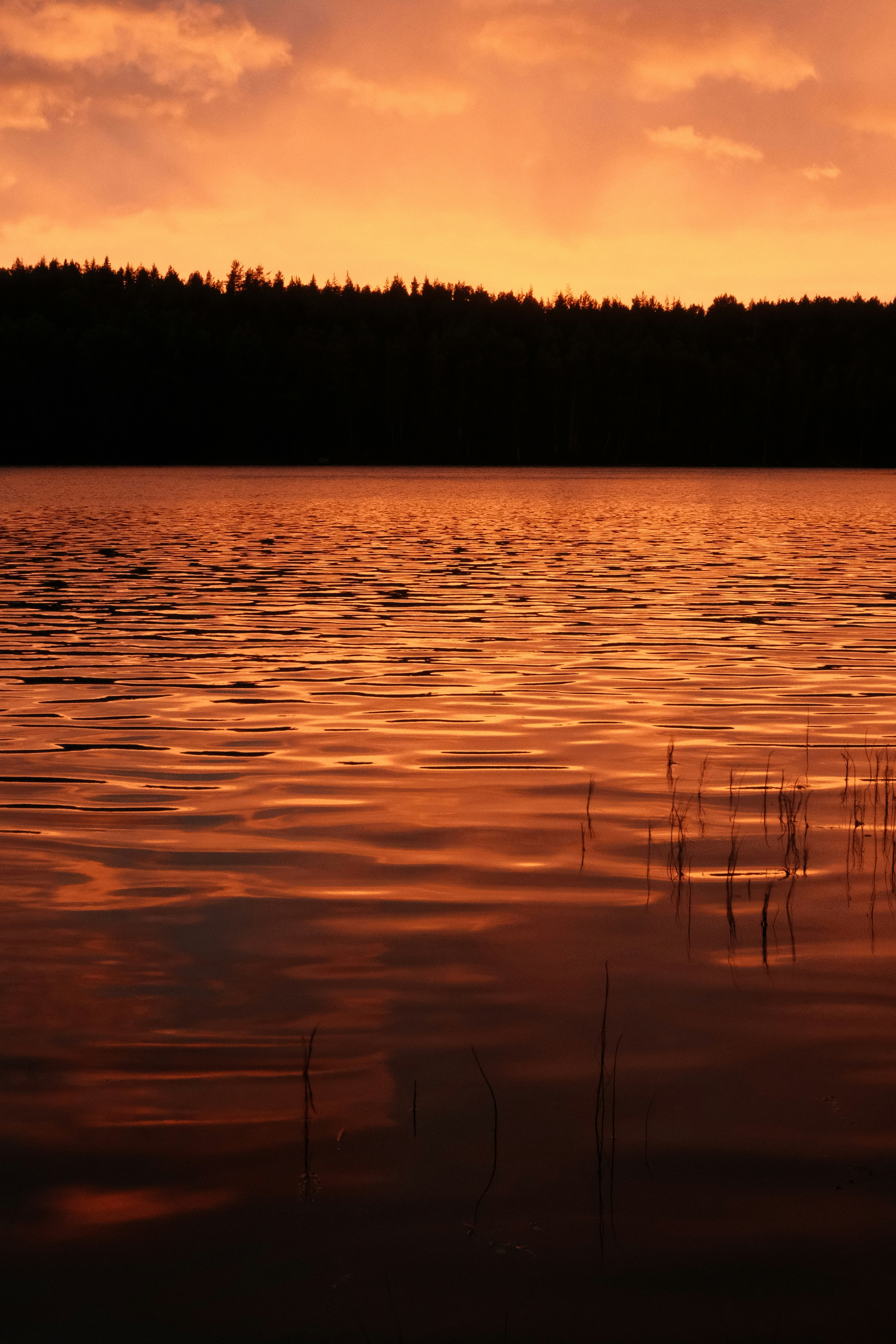 Crimson Dusk on the Quiet Lake