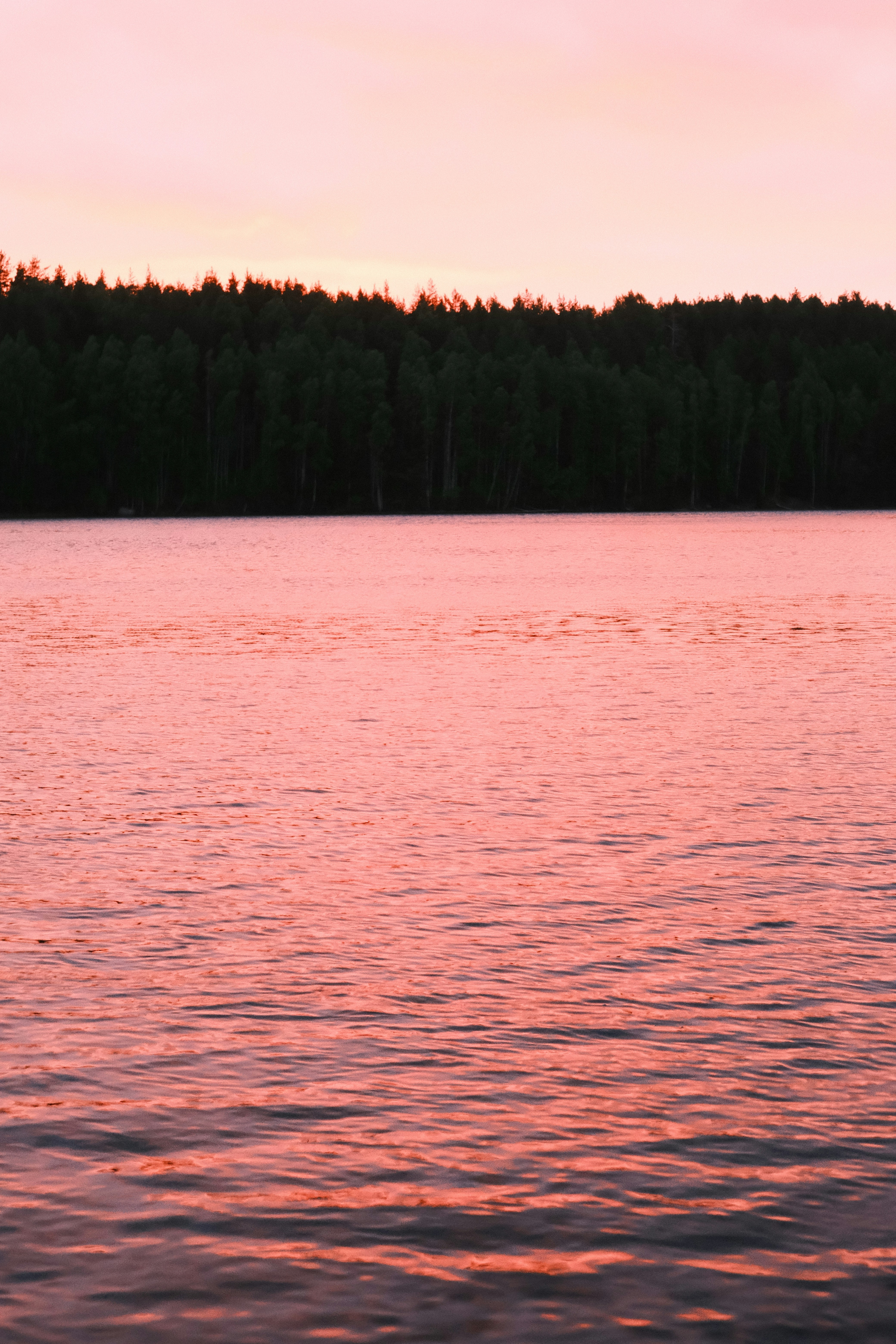 Tidal Horizon at Sunset: Pink Lake Silhouette