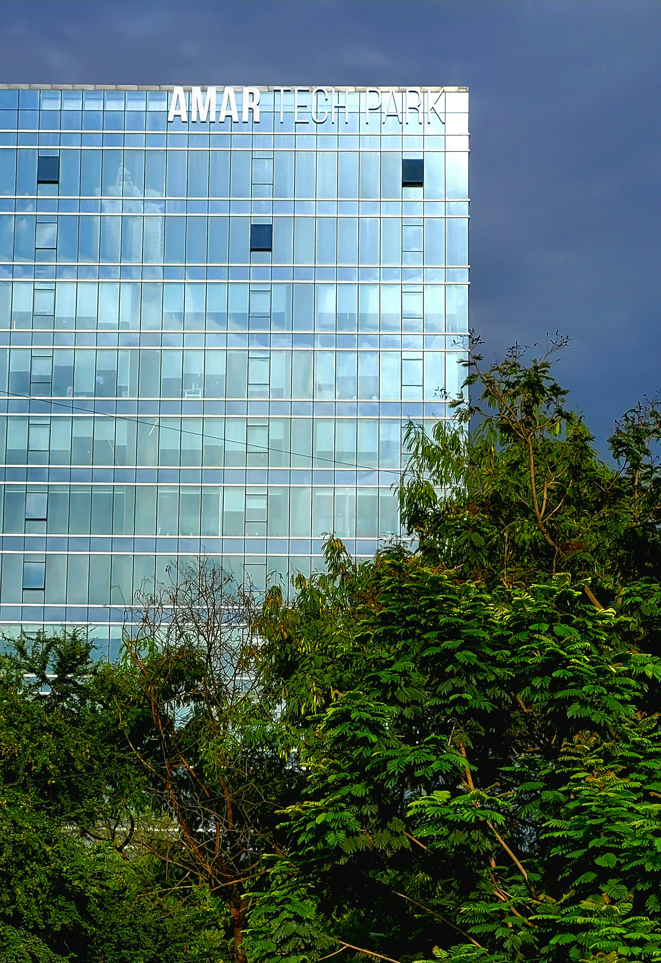 Glass Tower Reflected in Green Canopy