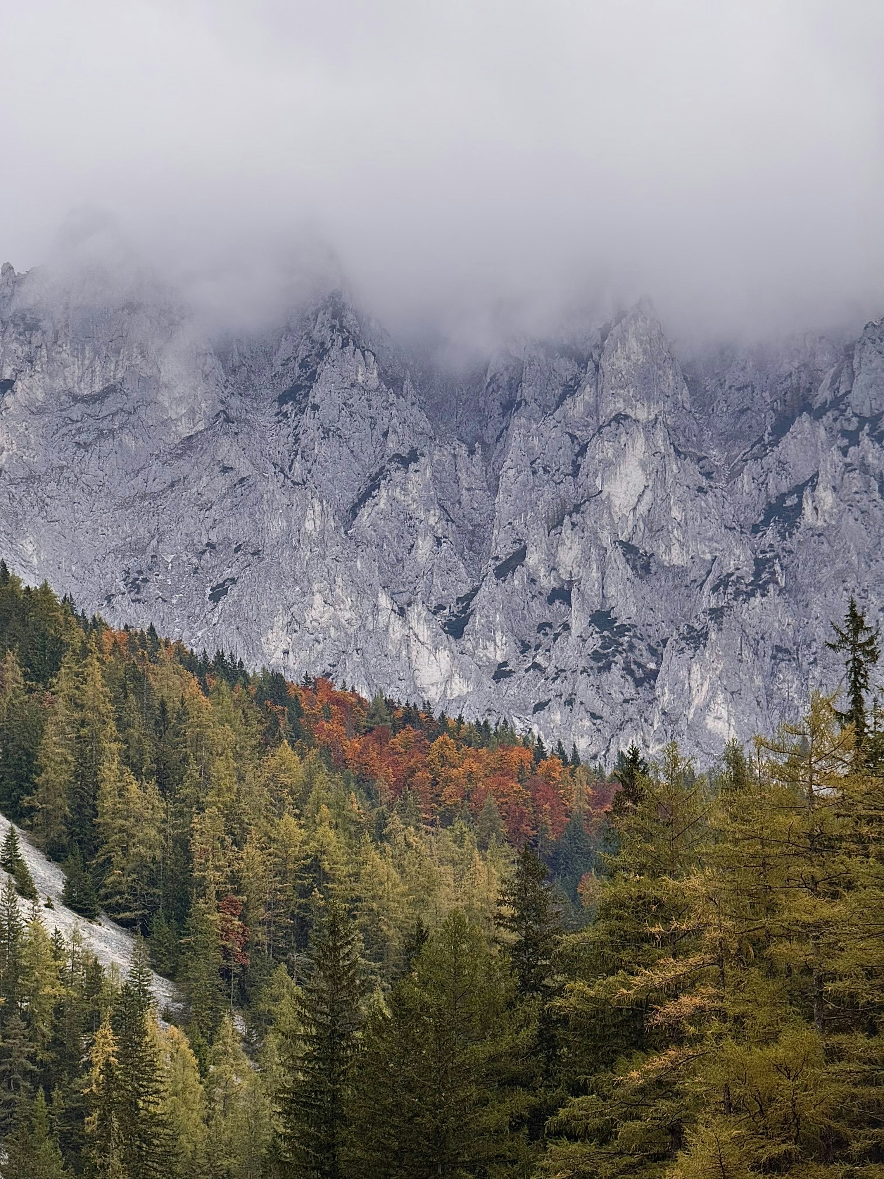 Misty Peaks Over a Colorful Forest Ascent