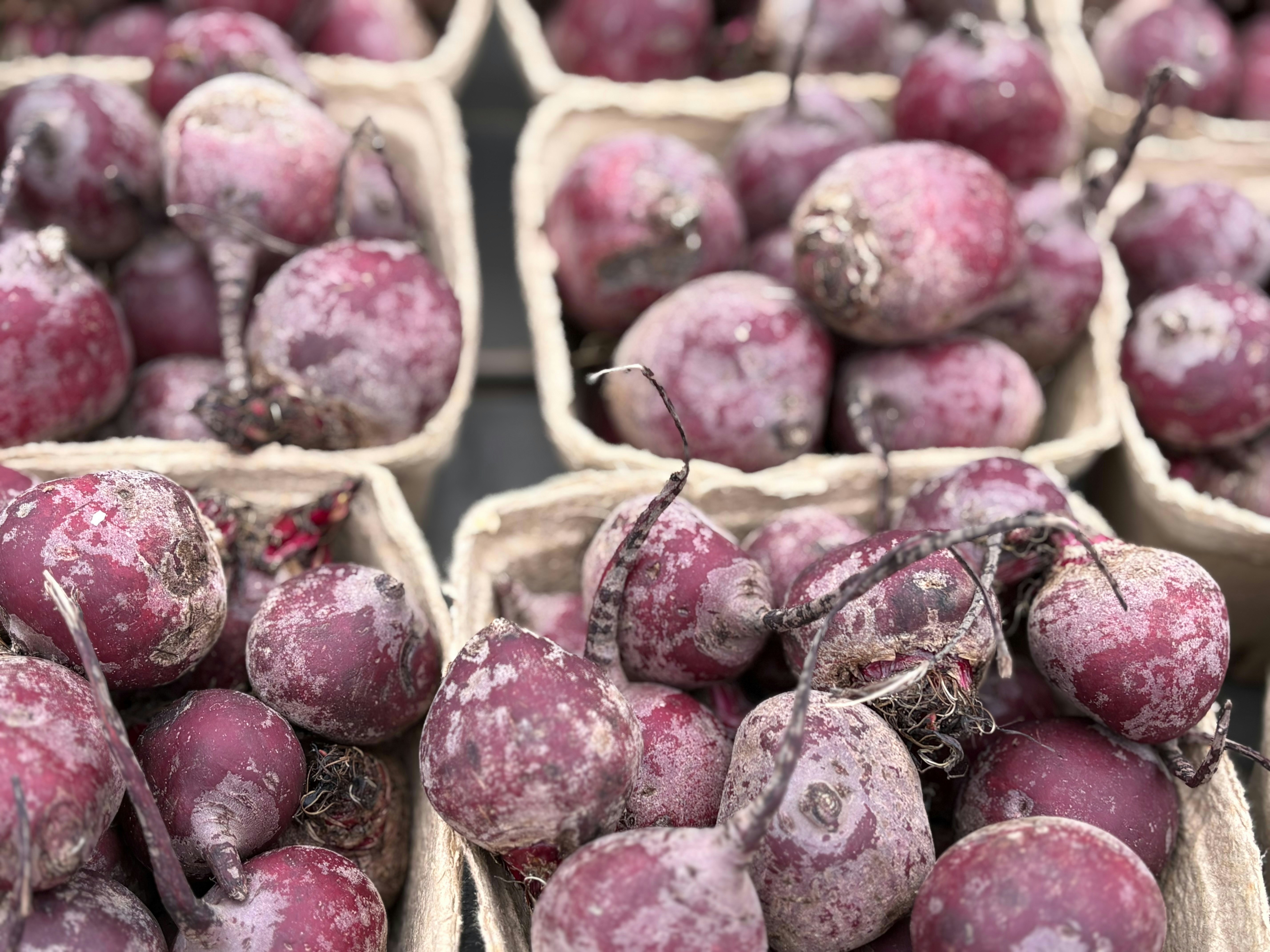 Dusty Rubies in a Carton: Close-Grab of Market Radishes
