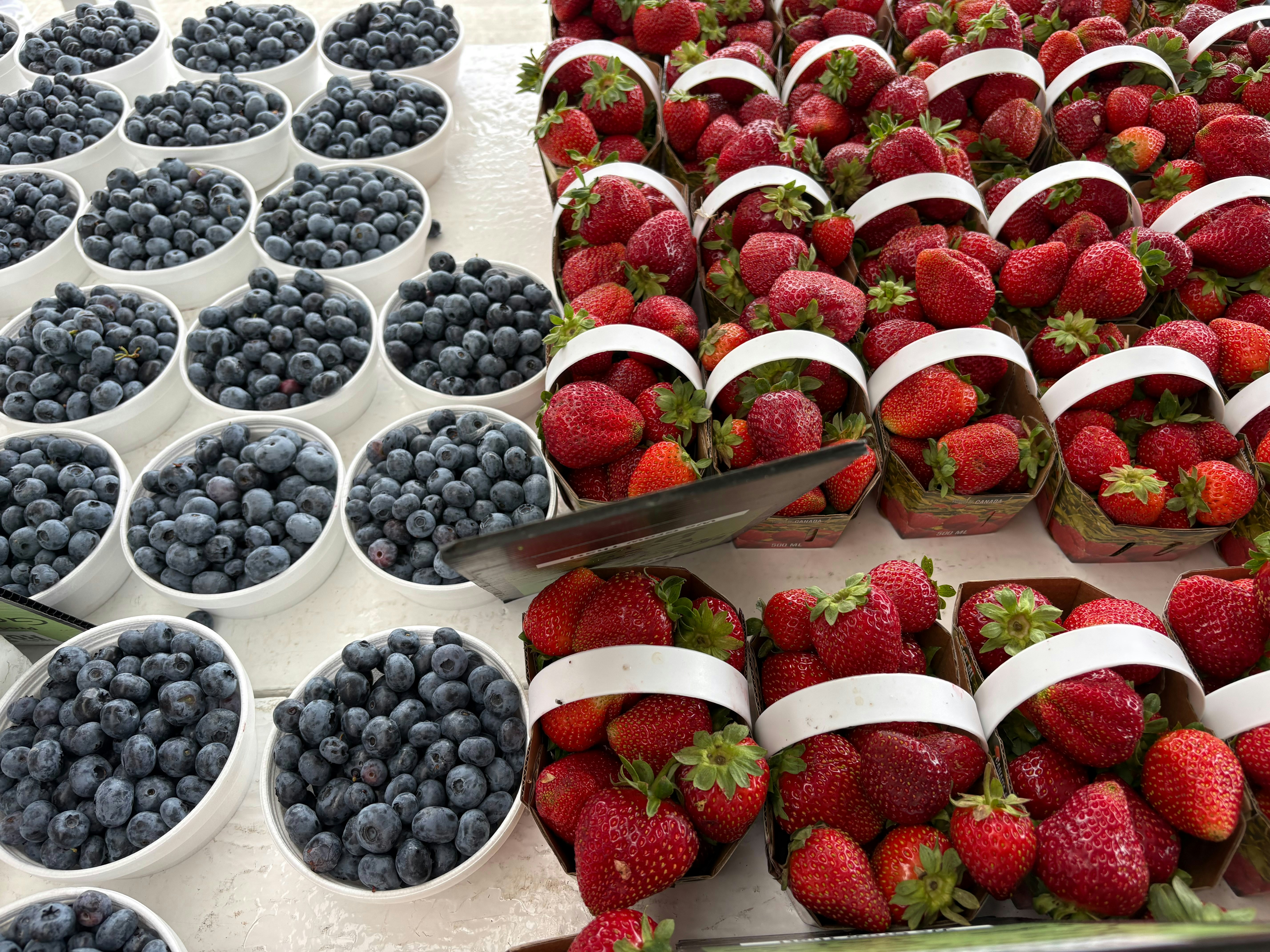Berry Bounty in Cup-Crop: Blueberries Meet Strawberry Baskets