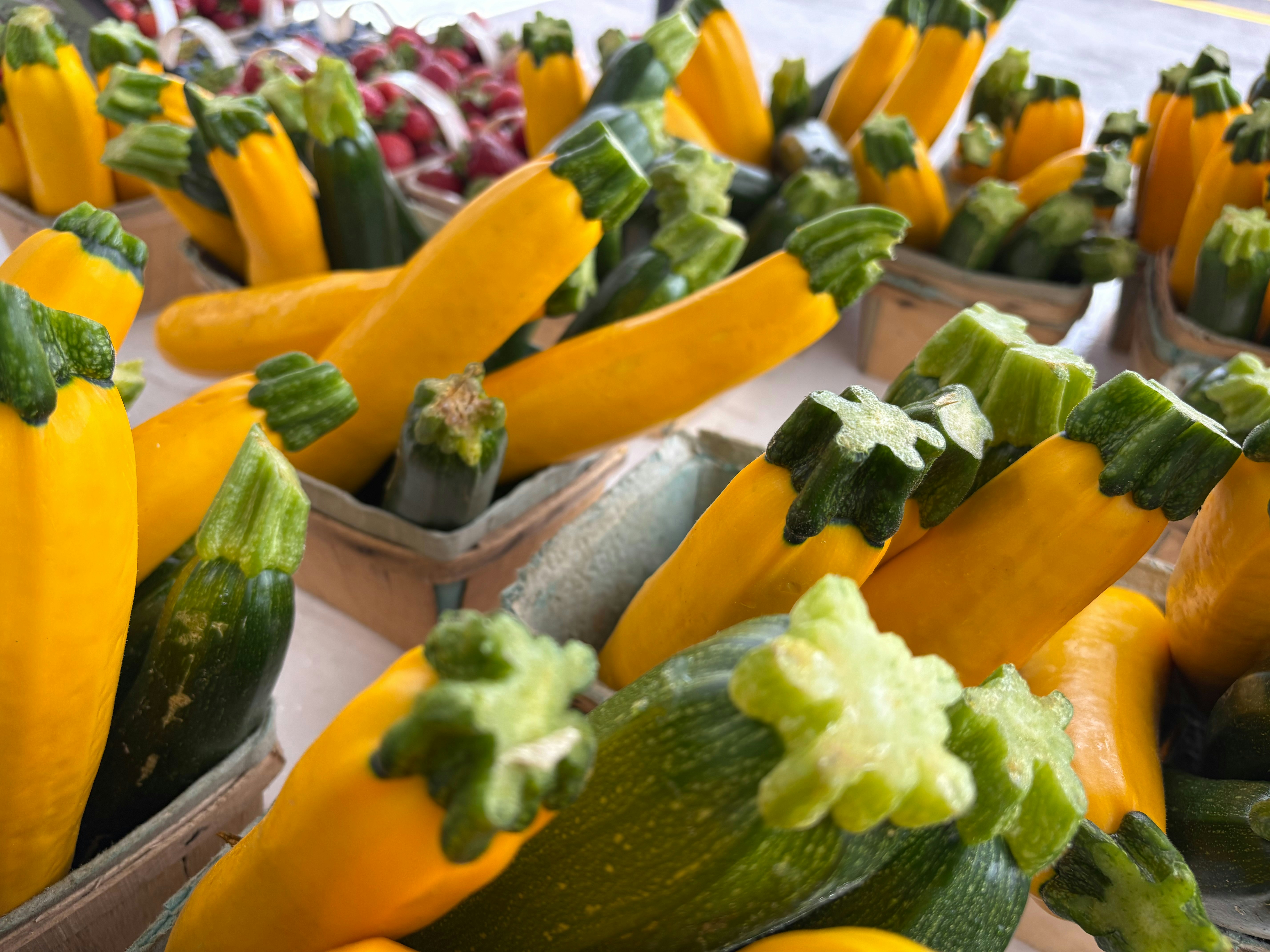 Sunlit Yellow Zucchini Bounty
