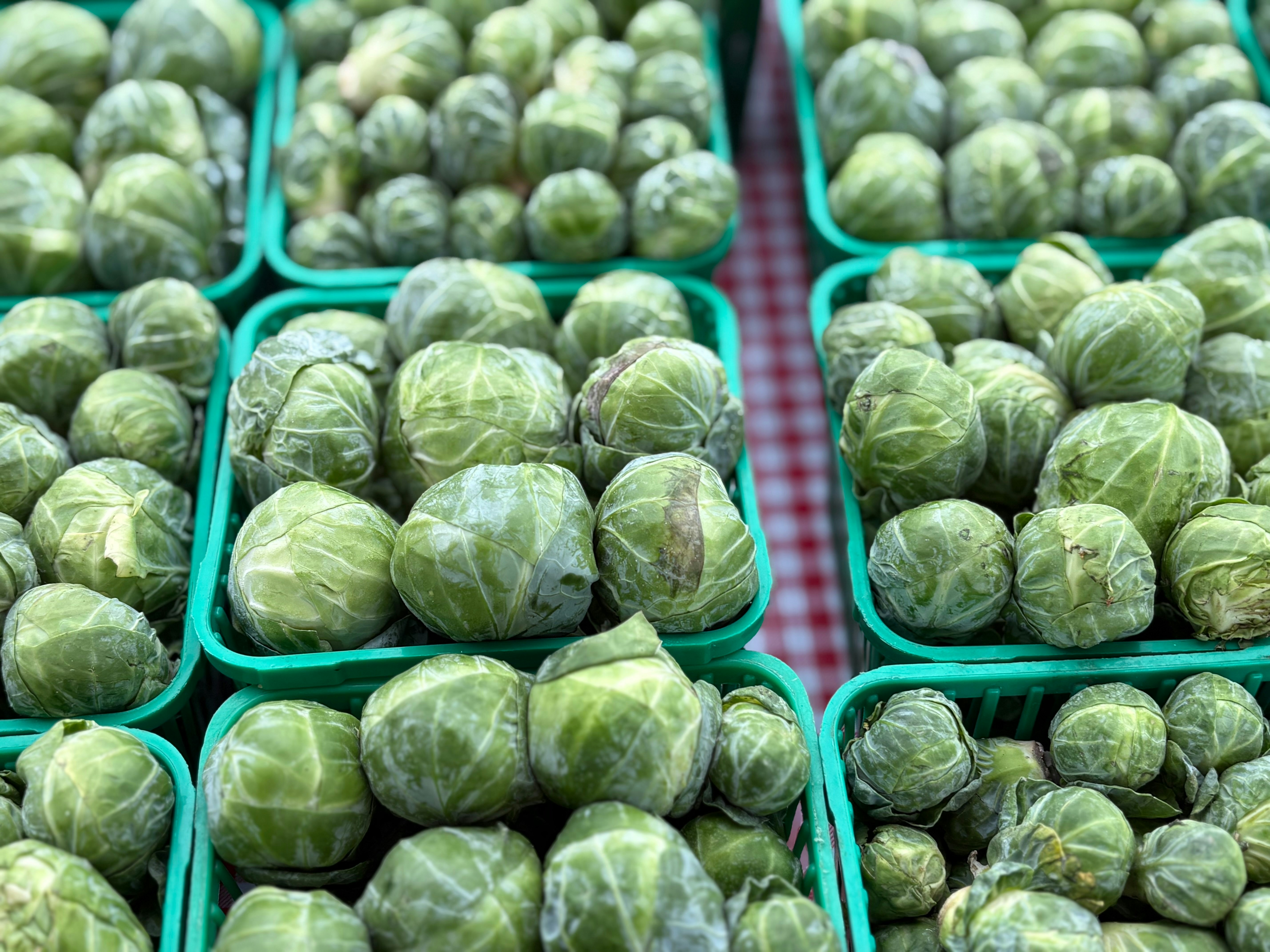 Brussels Sprouts Grid: Fresh Produce in Teal Trays