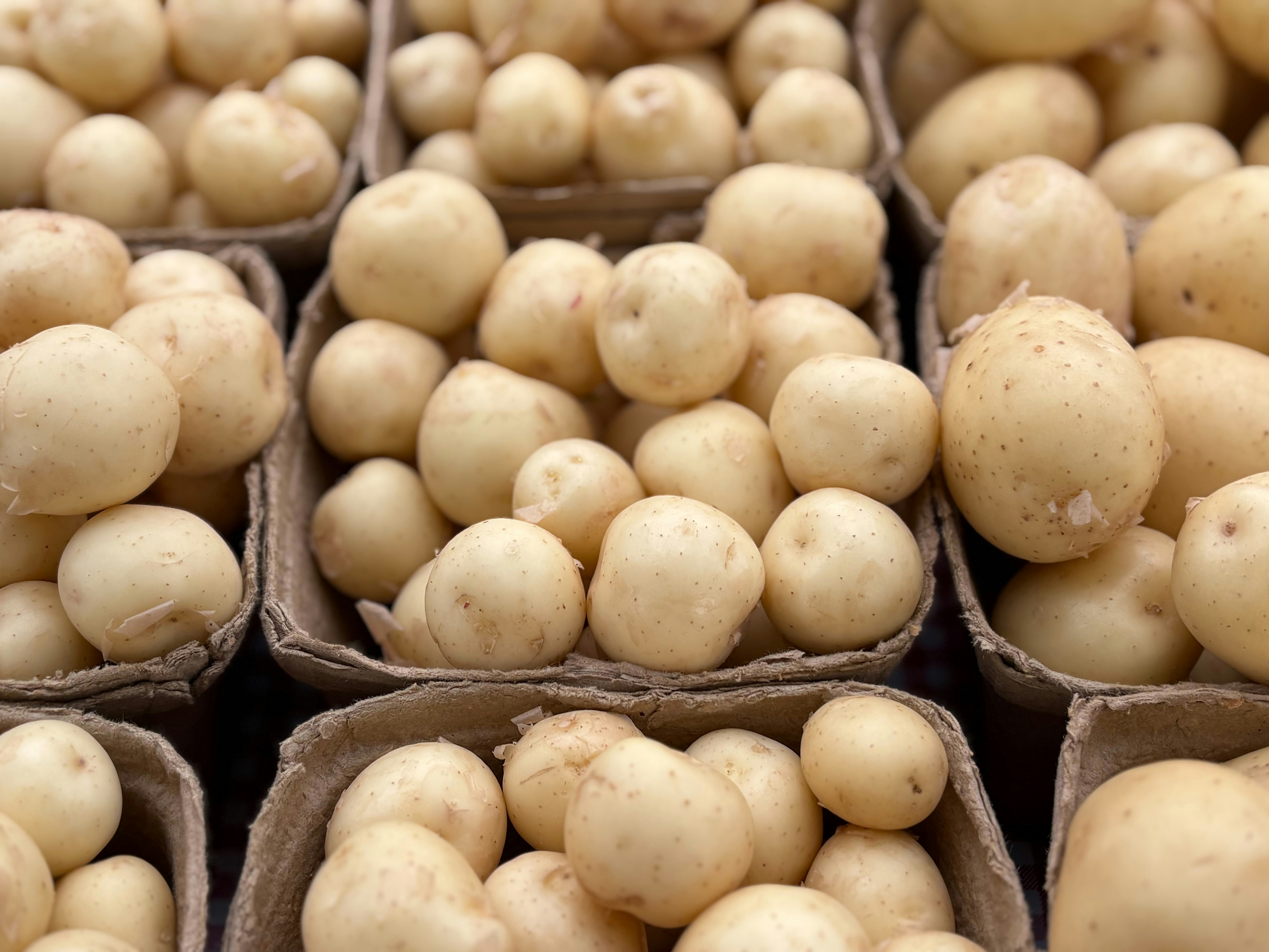 Row-by-Row Potato Bounty in Cardboard Crates