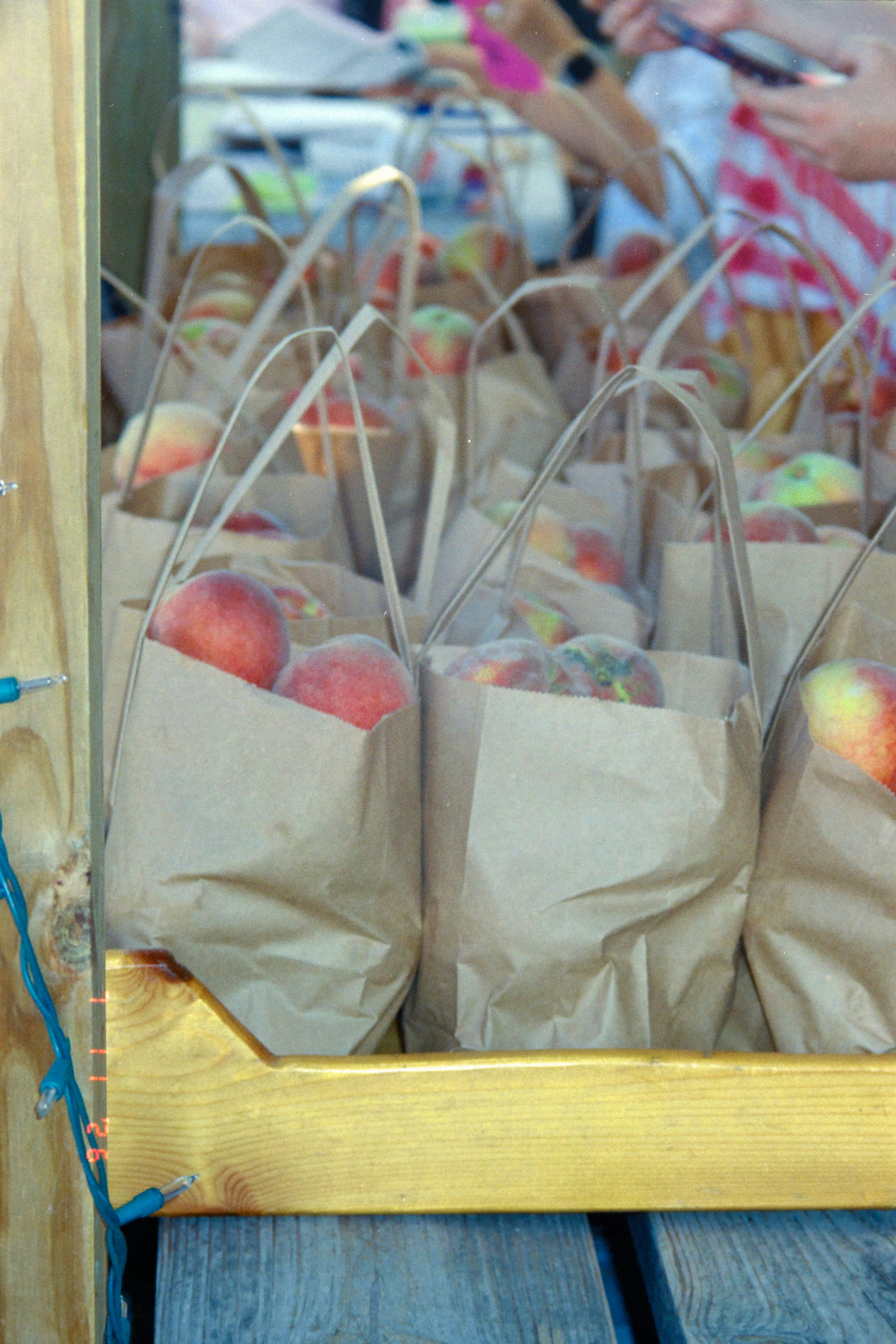Market Stand of Paper Bags Brimming with Apples