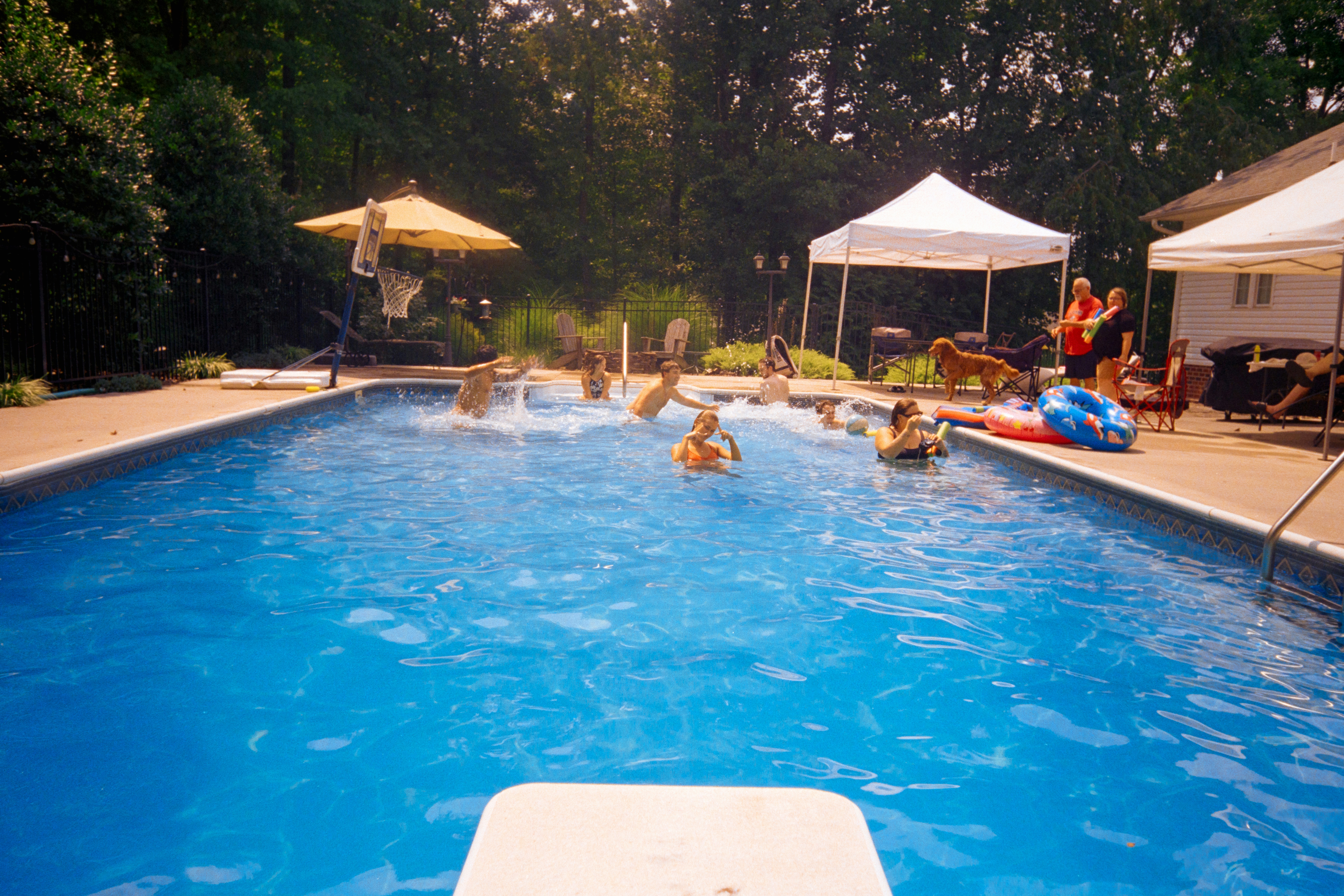 Splashside Gather: A Sunny Poolside Celebration