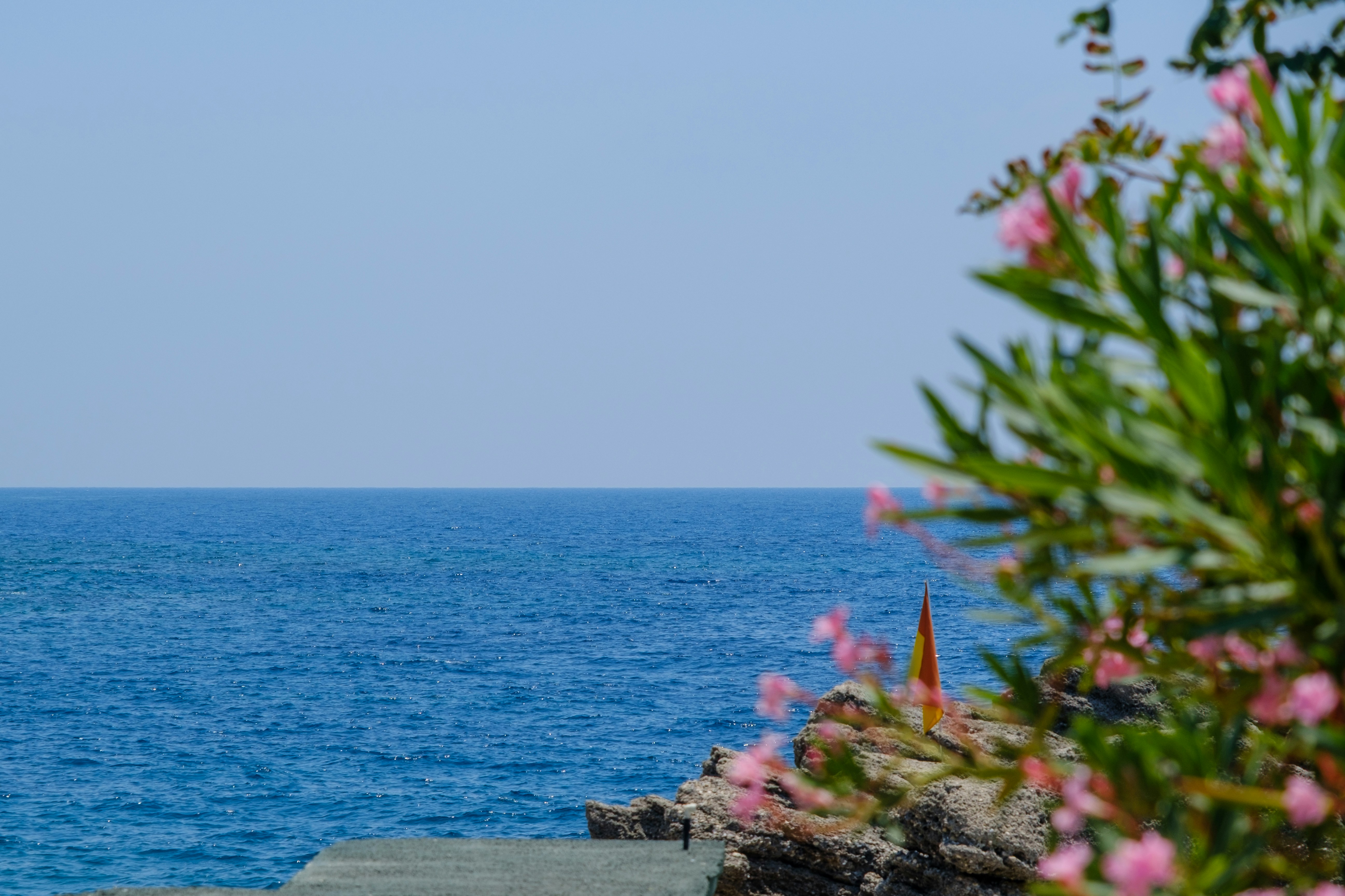 Sea Edge with Pink Bougainvillea in the Foreground