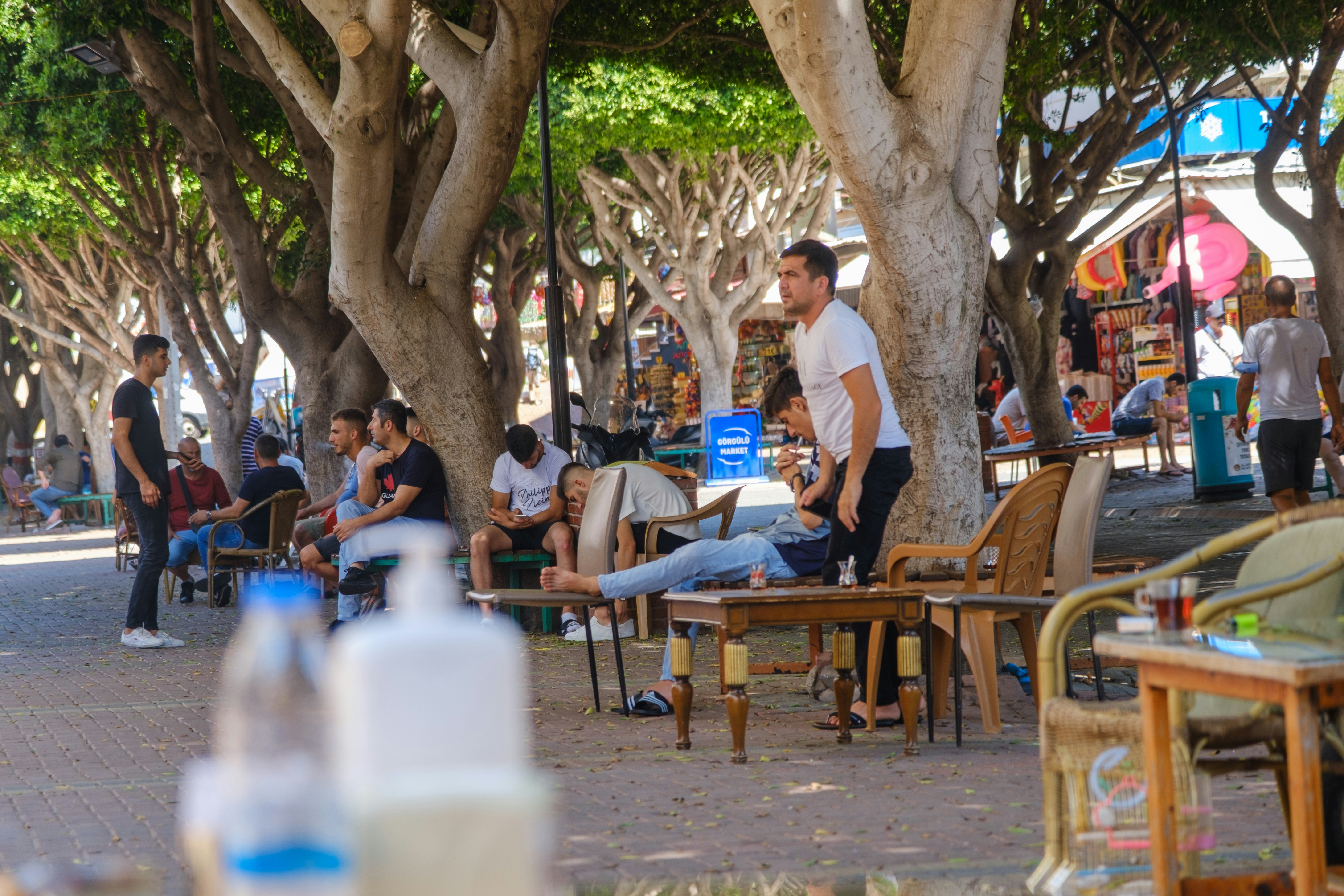Lounge under the canopy: a casual gathering at the sunlit plaza