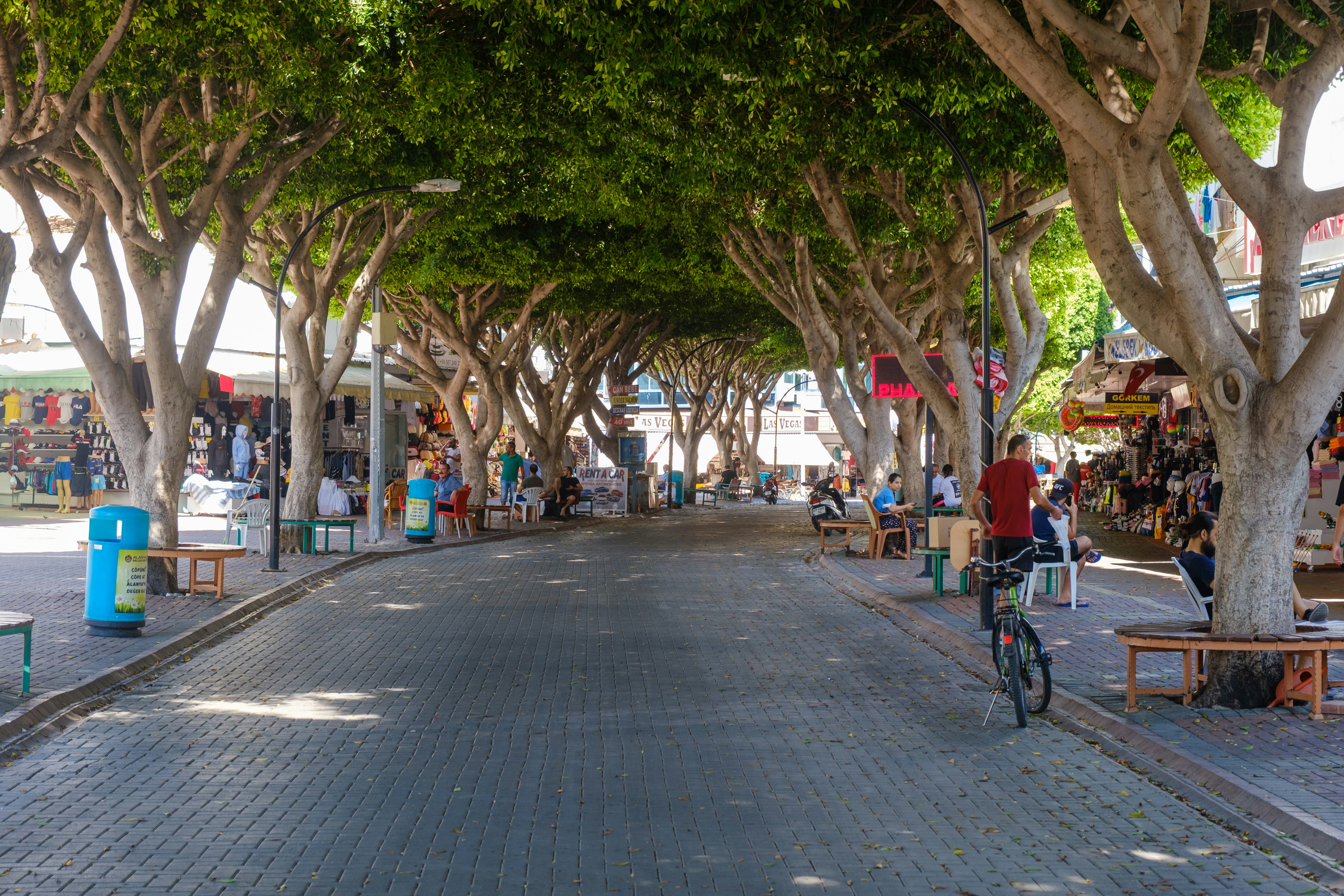 Tree-Lined Arcade: Pedestrian Oasis Under Dappled Shade