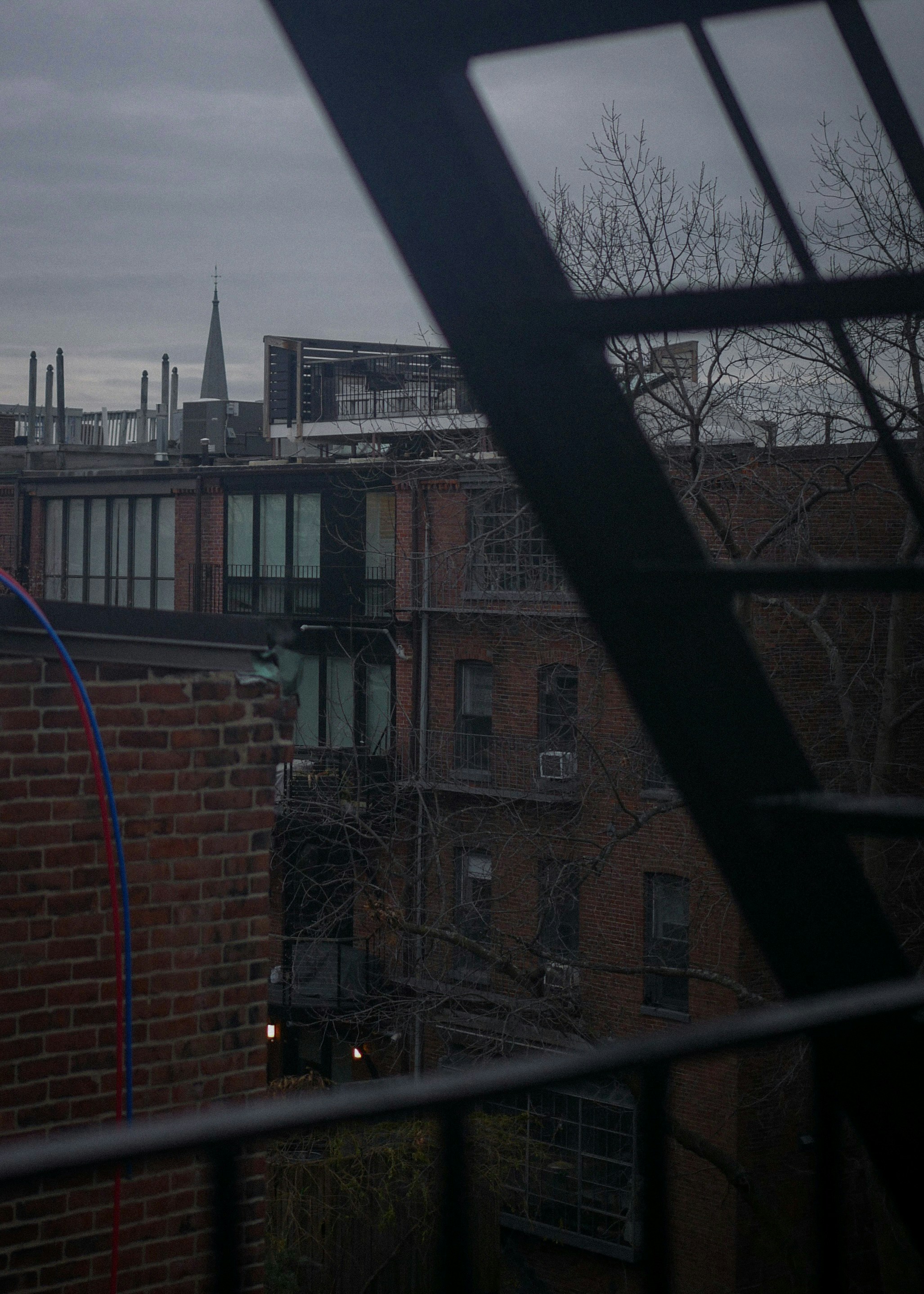 Urban Rooftop Framing: Tree, Brick, and Window Lattice