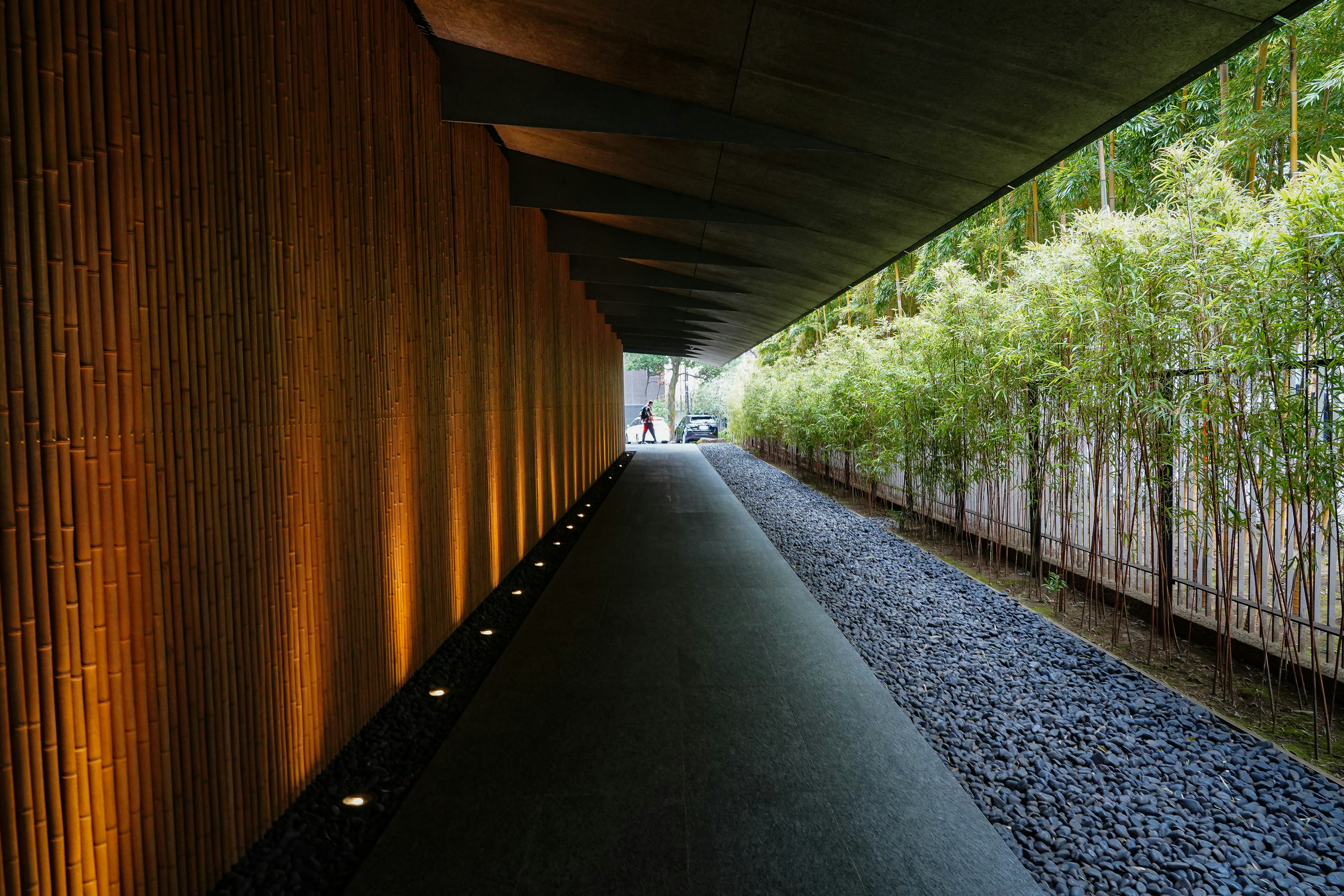 Quiet Corridor of Light Beyond the Wooden Wall