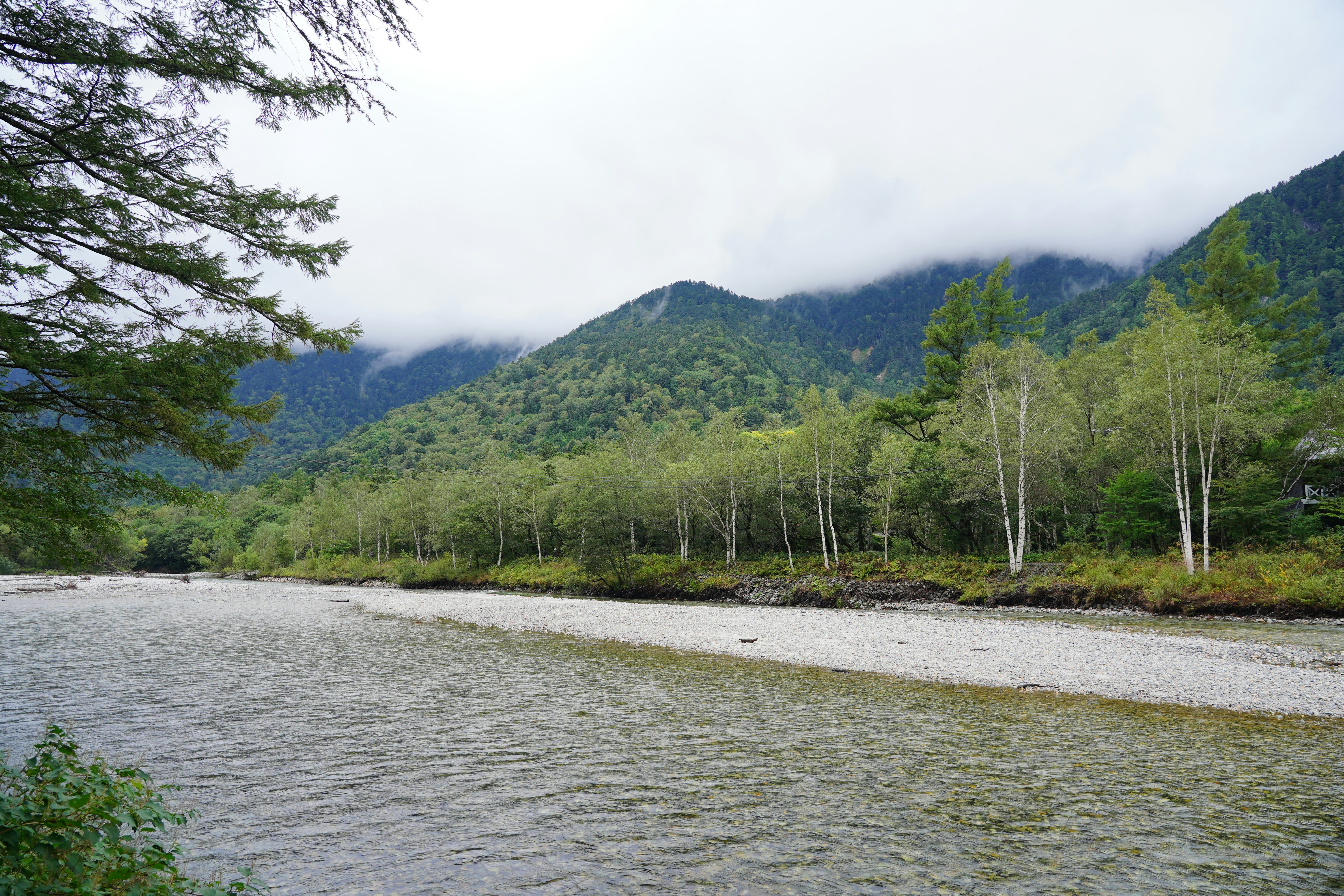 Azusa River winding beneath cloud covered peaks in Kamikochi. The Azusa River curves through the Kamikochi valley in the Northern Japan Alps, birch trees lining the gravel bank while low cloud clings to the ridgeline above. Kamikochi sits at roughly 1,500 meters and has been closed to private vehicles since the 1970s to preserve the valley — the only way in is by bus or on foot, which keeps the riverbanks quiet even in peak summer.