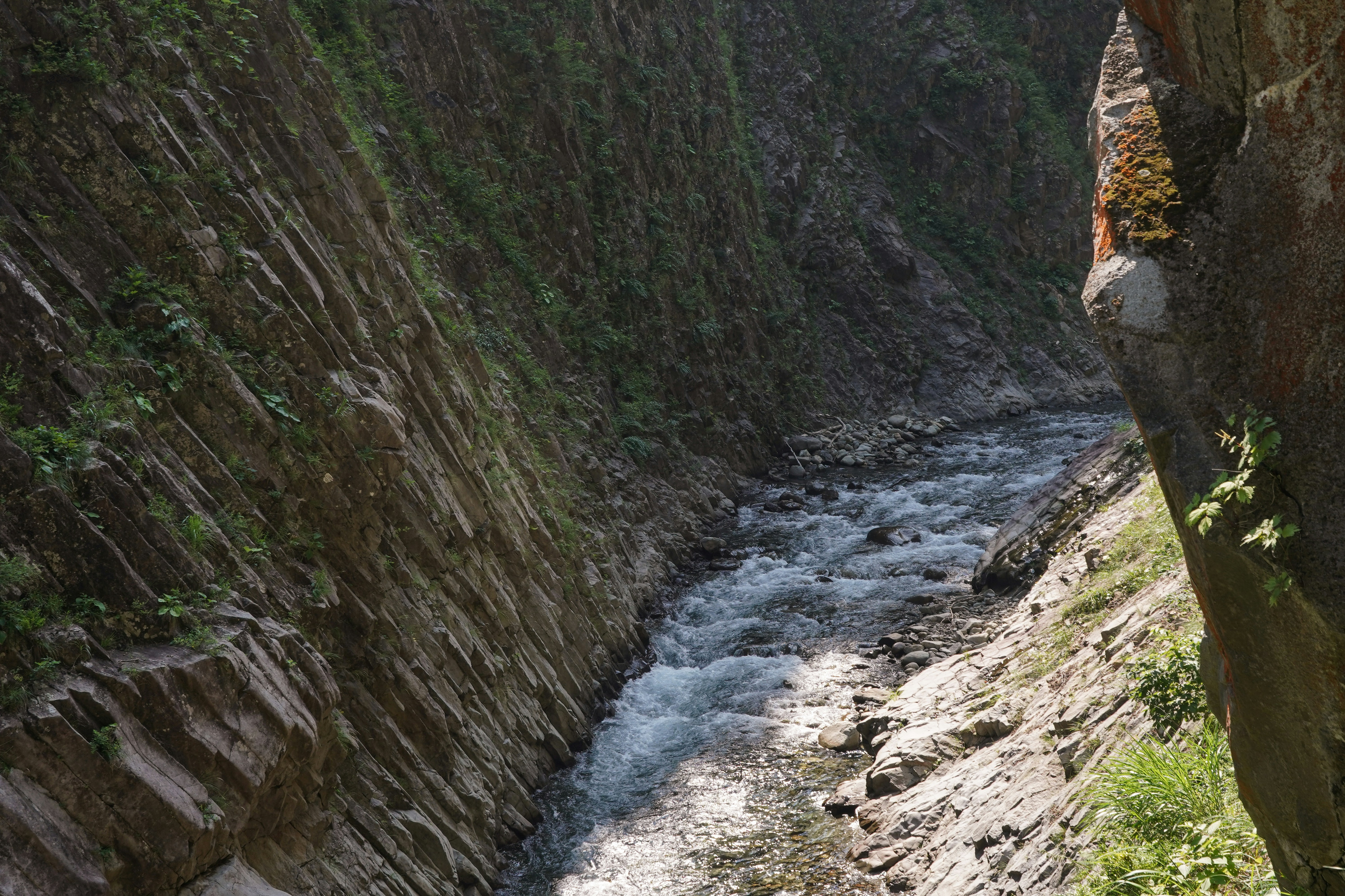 Rugged River Cut: Sunlit Sides of a Narrow Gorge