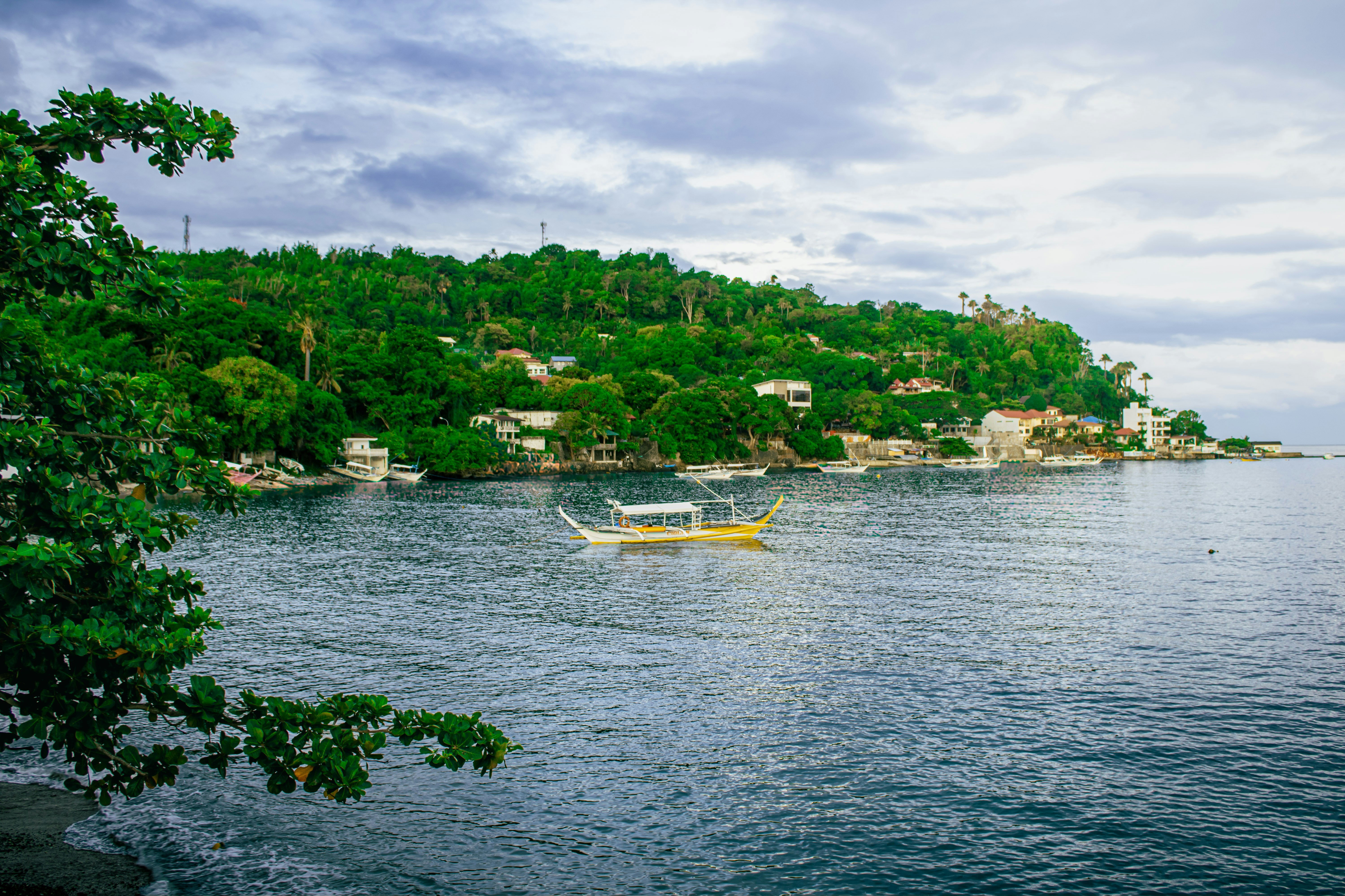 Boat Crossing a Green Coastal Channel