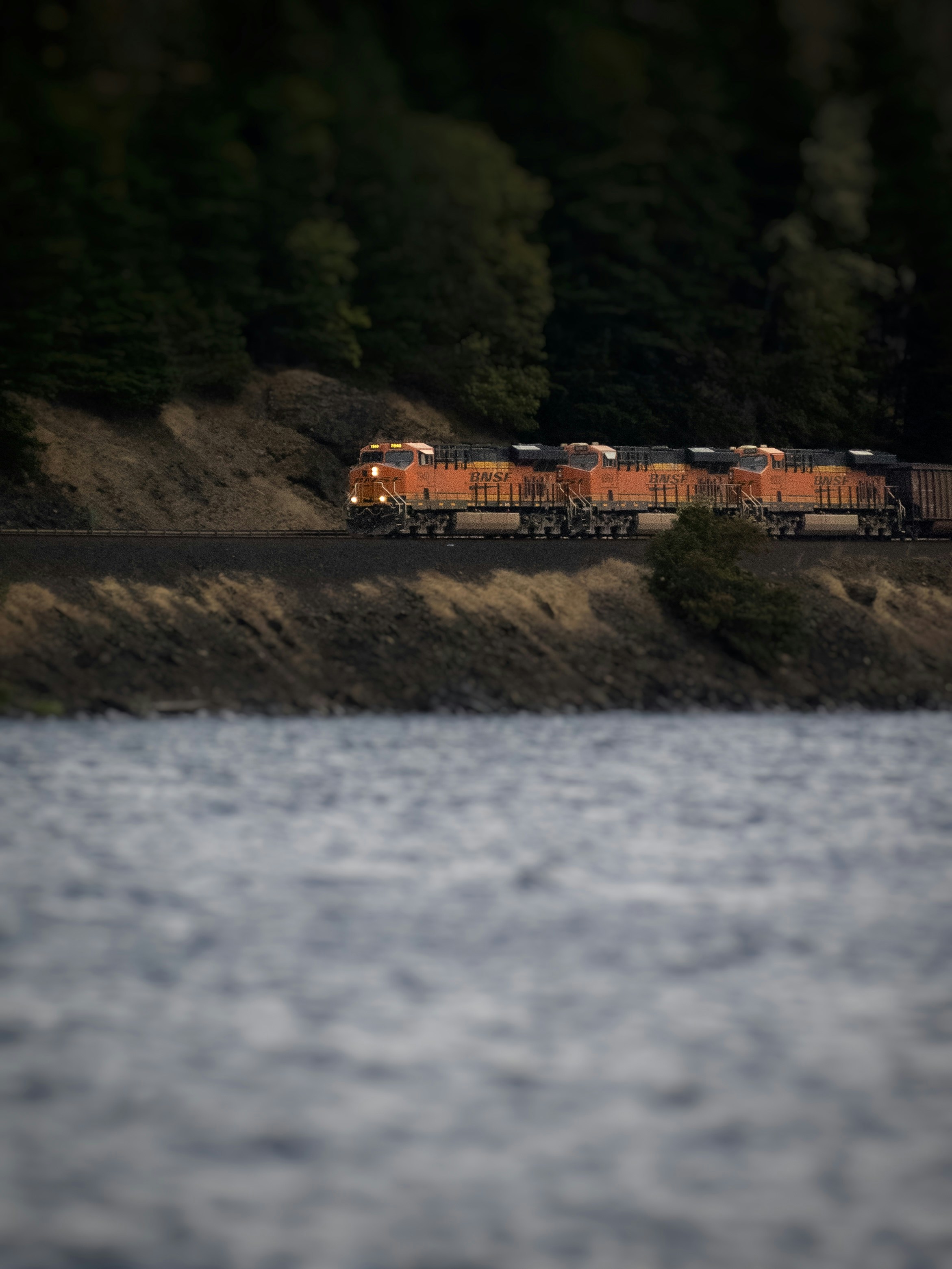 A freight train winds along a coastal hillside with trees in the background and blurred water in the foreground, captured with a shallow depth of field. This is a photographic scene featuring a logo-like train livery across multiple engines.
