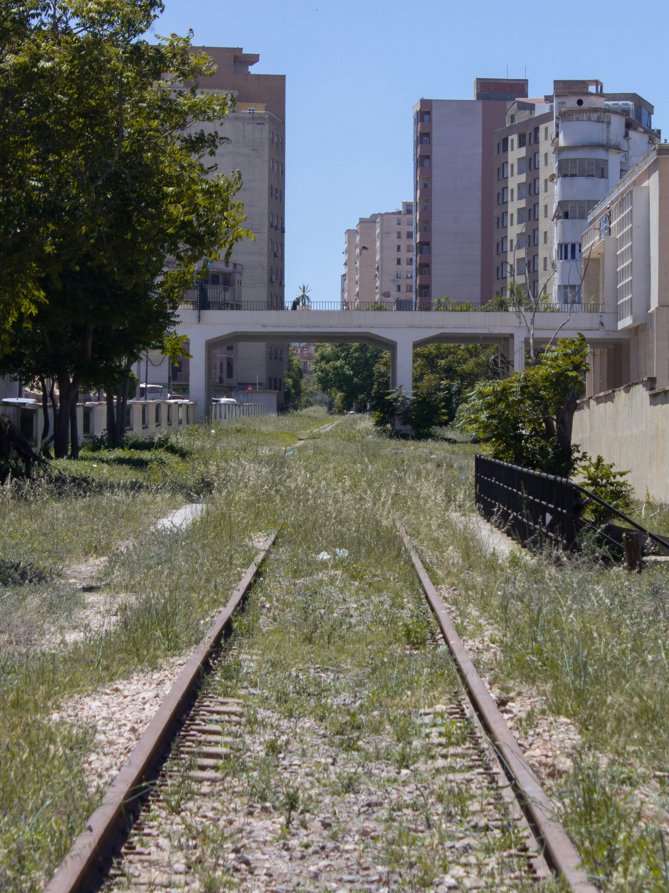 Overgrown Rails: Urban Corridor Framed by Tall Dwellings