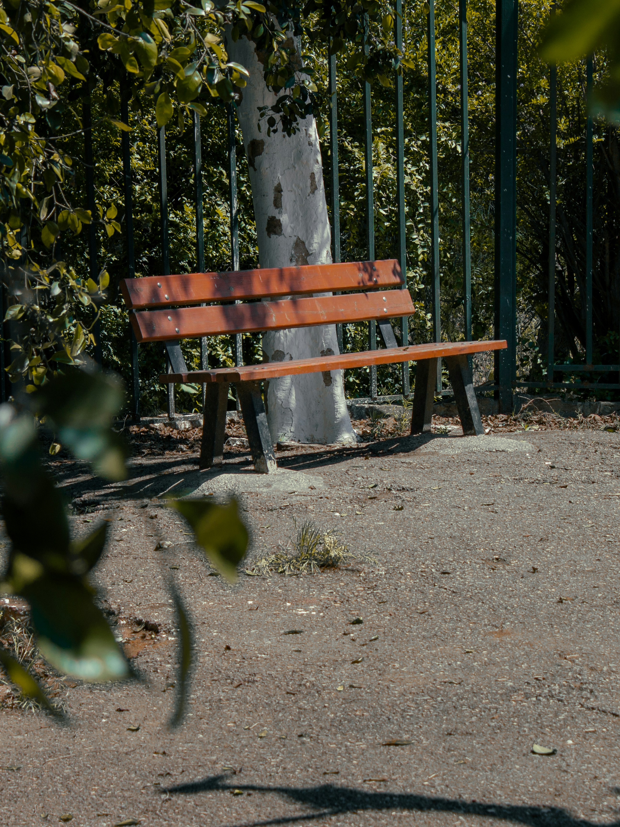 The Quiet Rest: Wooden Bench Beneath a Green Gate
