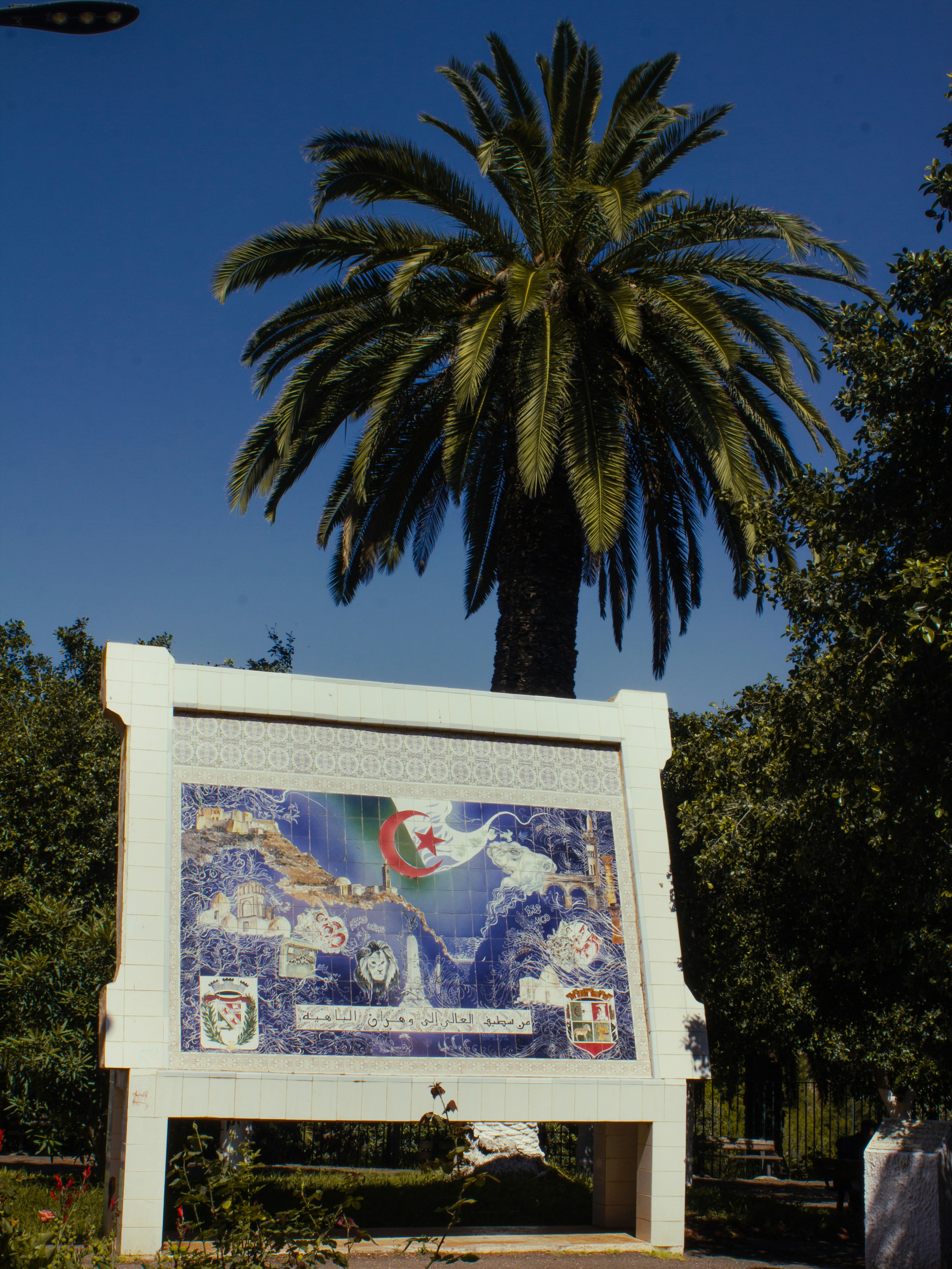 Sunlit Palm Tower Over a Tile Mosaic Memorial