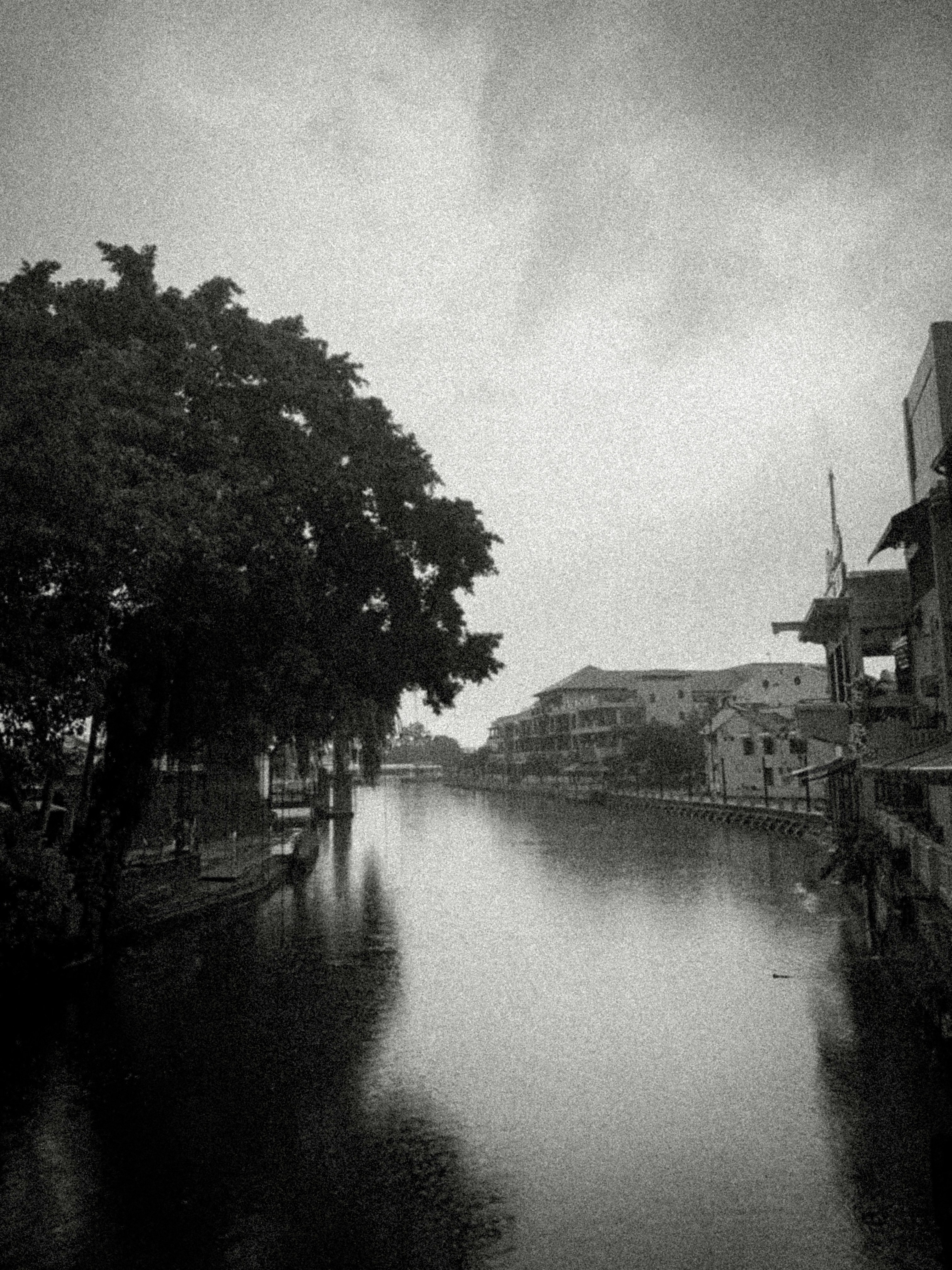 Monochrome canal scene with trees on the left and buildings on the right, reflecting a calm waterway; the composition emphasizes the tranquil centerline and misty sky.