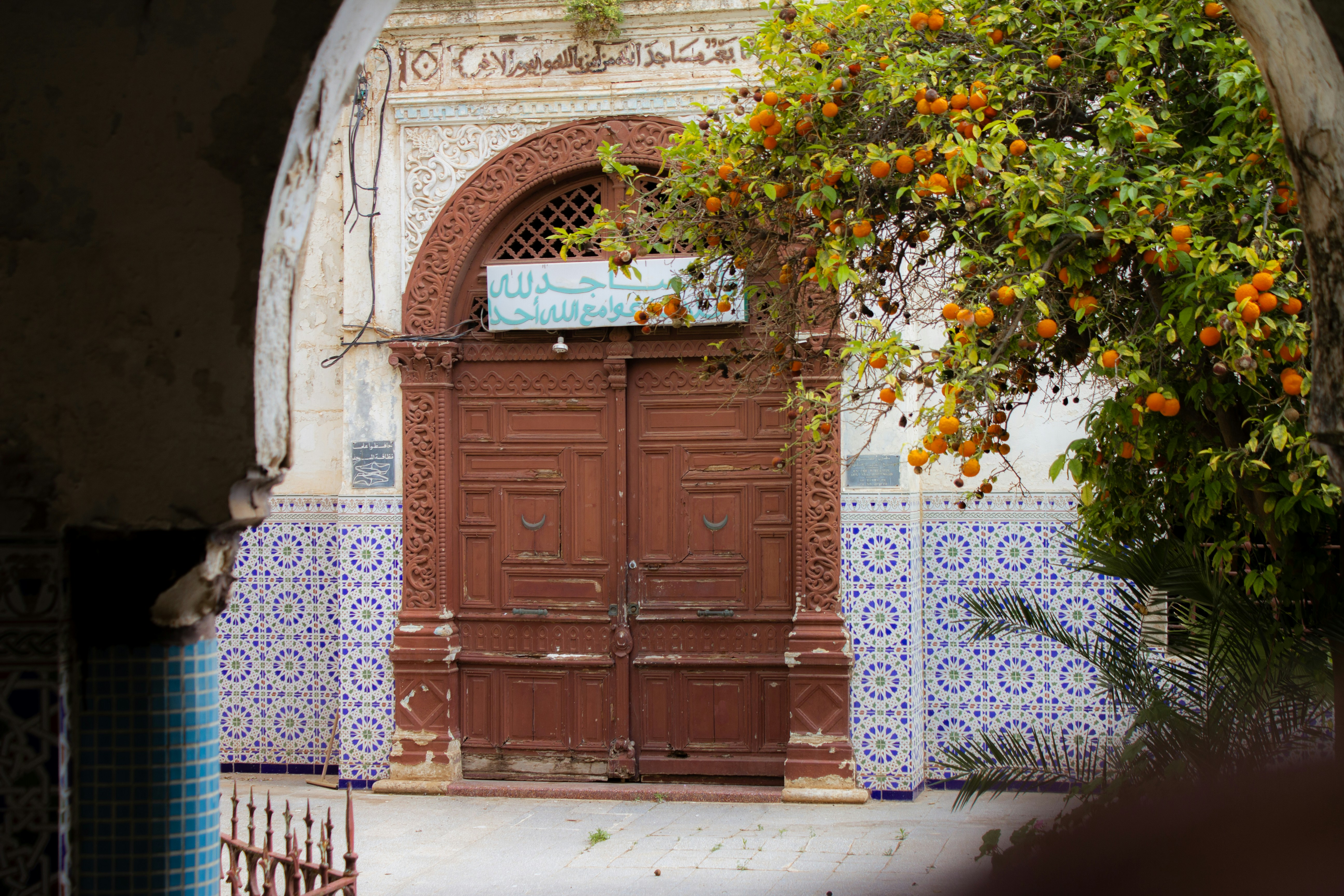 Weathered doorway framed by orange blossoms and blue tilework