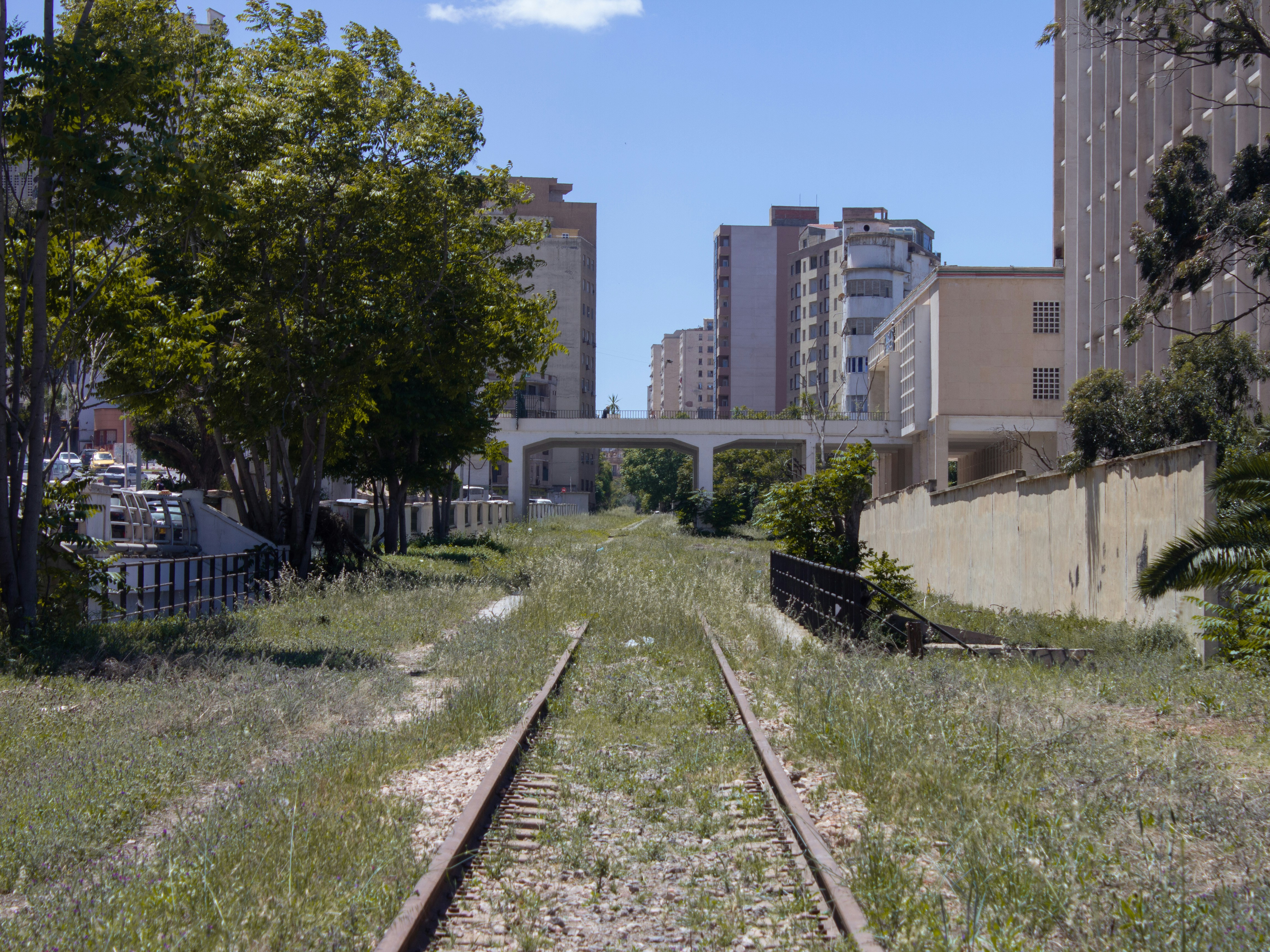 Overgrown Rails Into the City