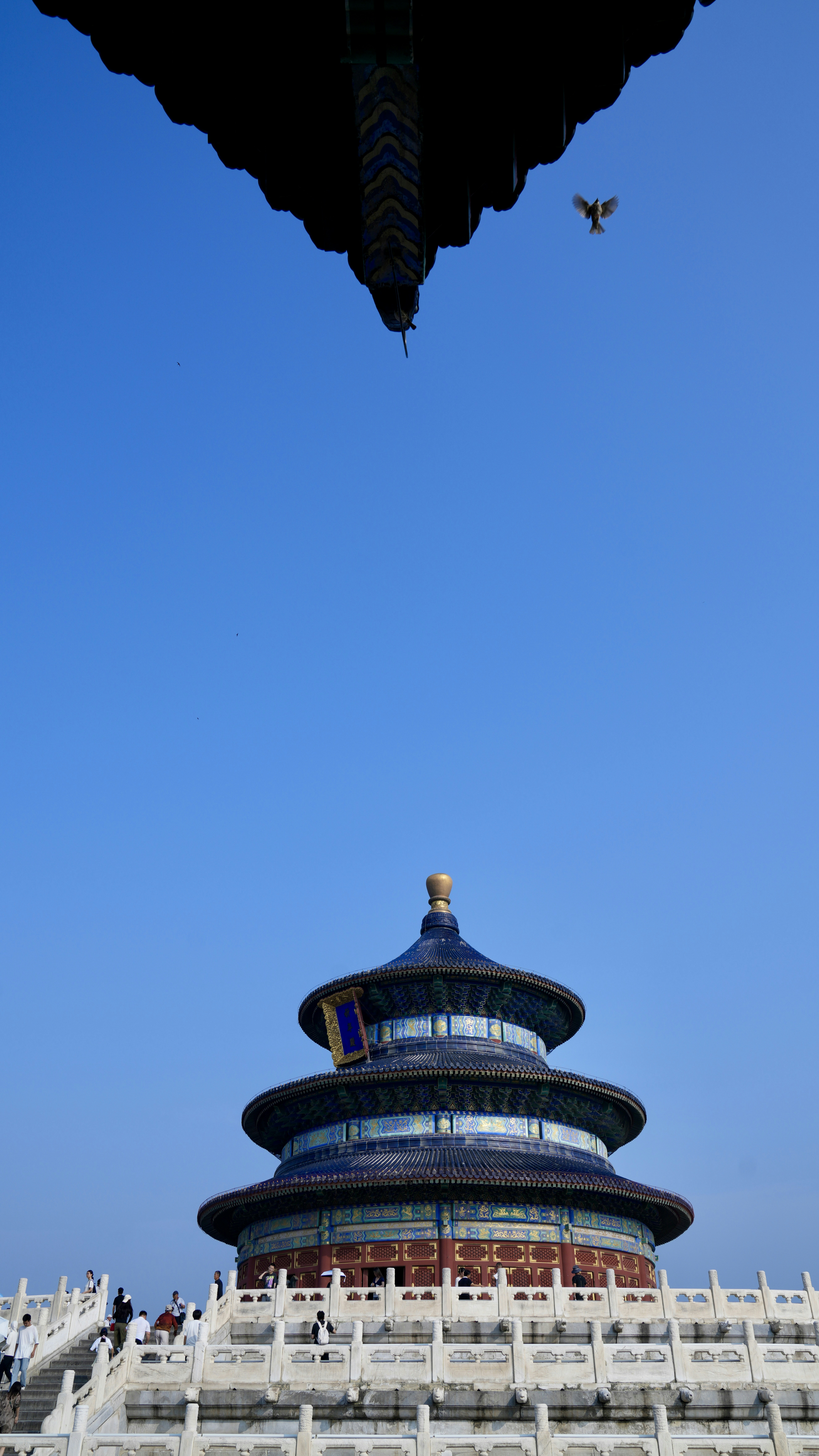 Cloudless Sky Over the Temple: A Vertical Perspective