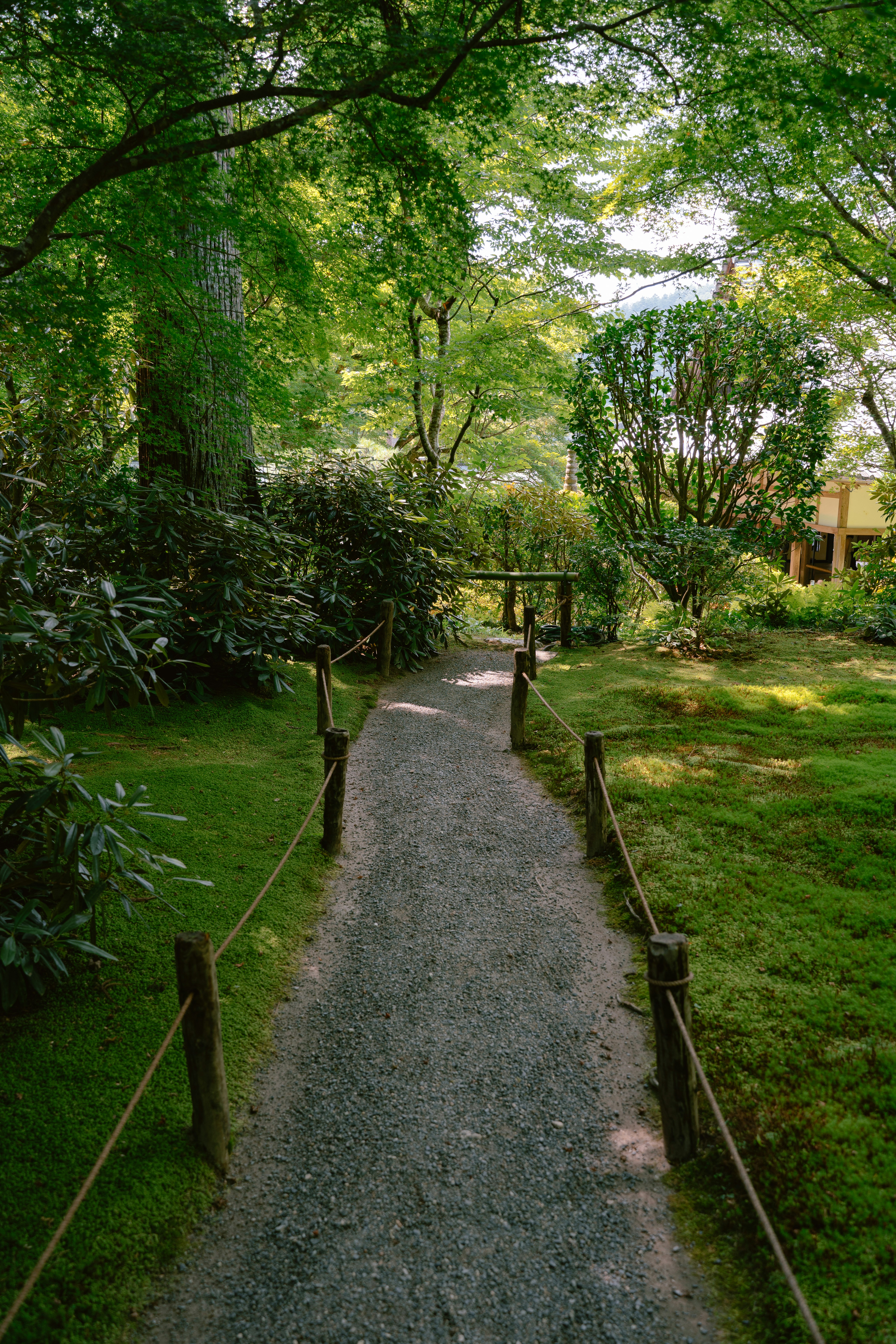 Quiet gravel path through a green courtyard garden