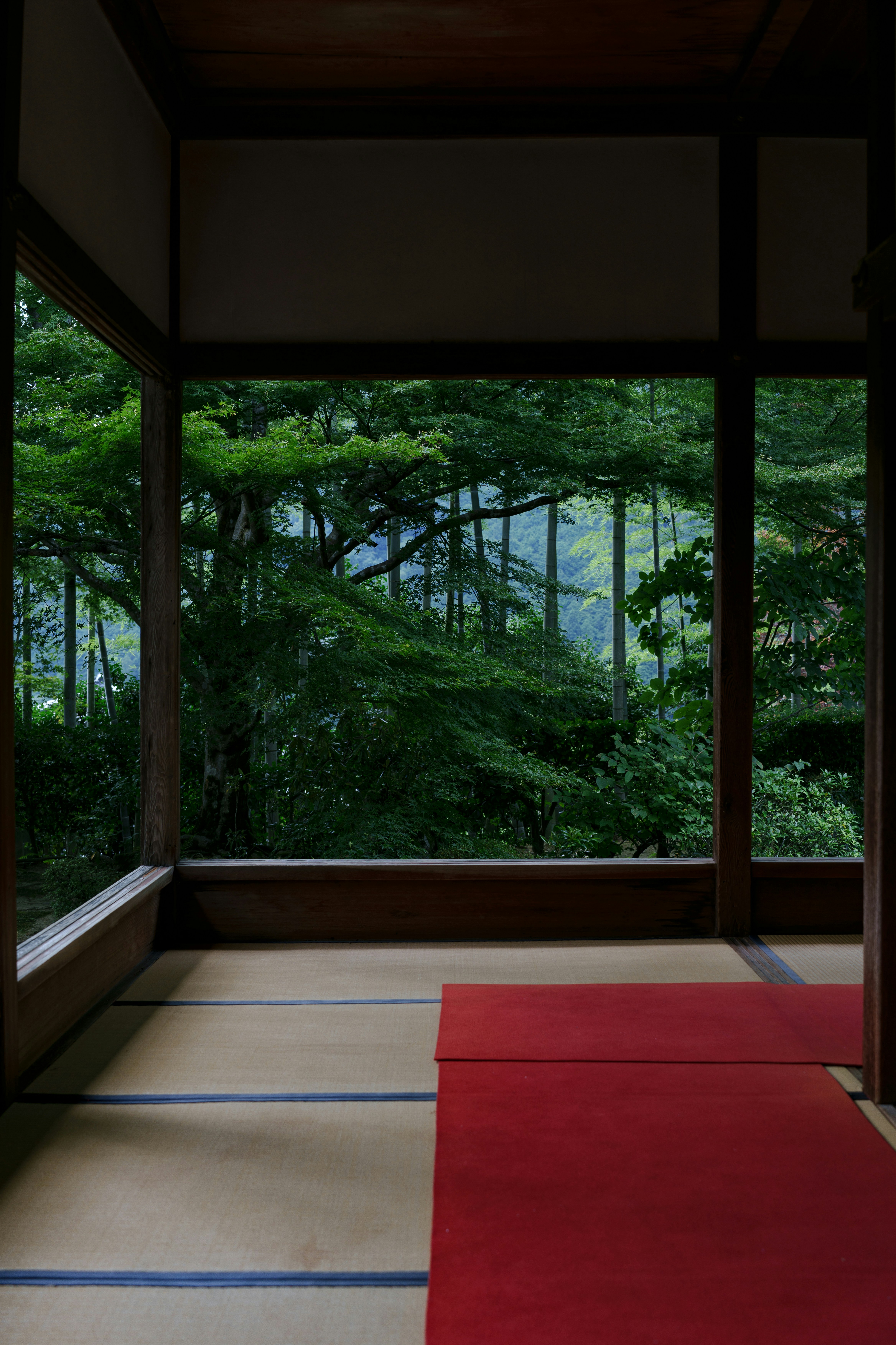 Zen Room Windows: Greenery Framed by Timber and Red Carpets