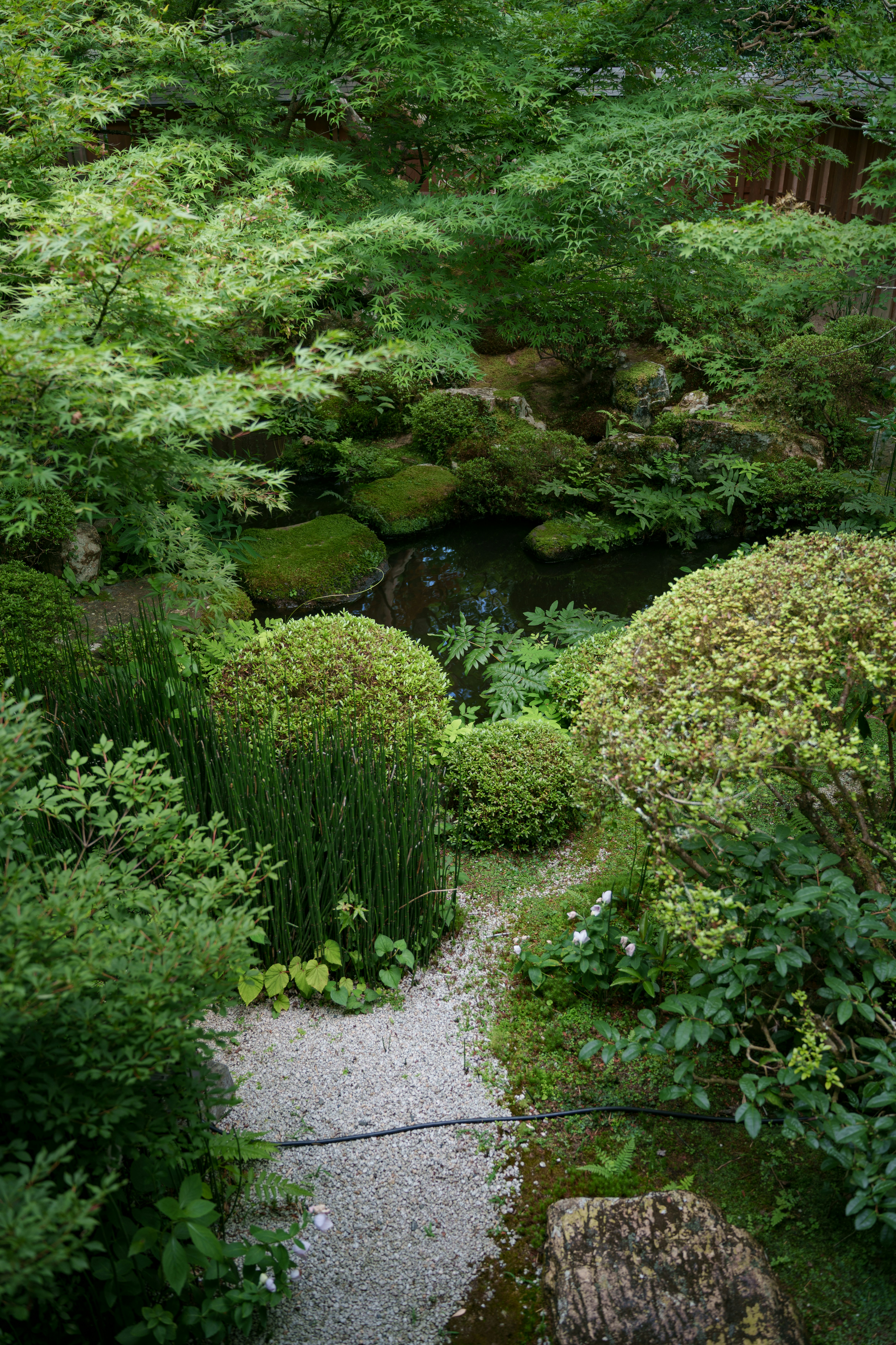 Tranquil Japanese Garden Corridor Leading to a Mossy Pond