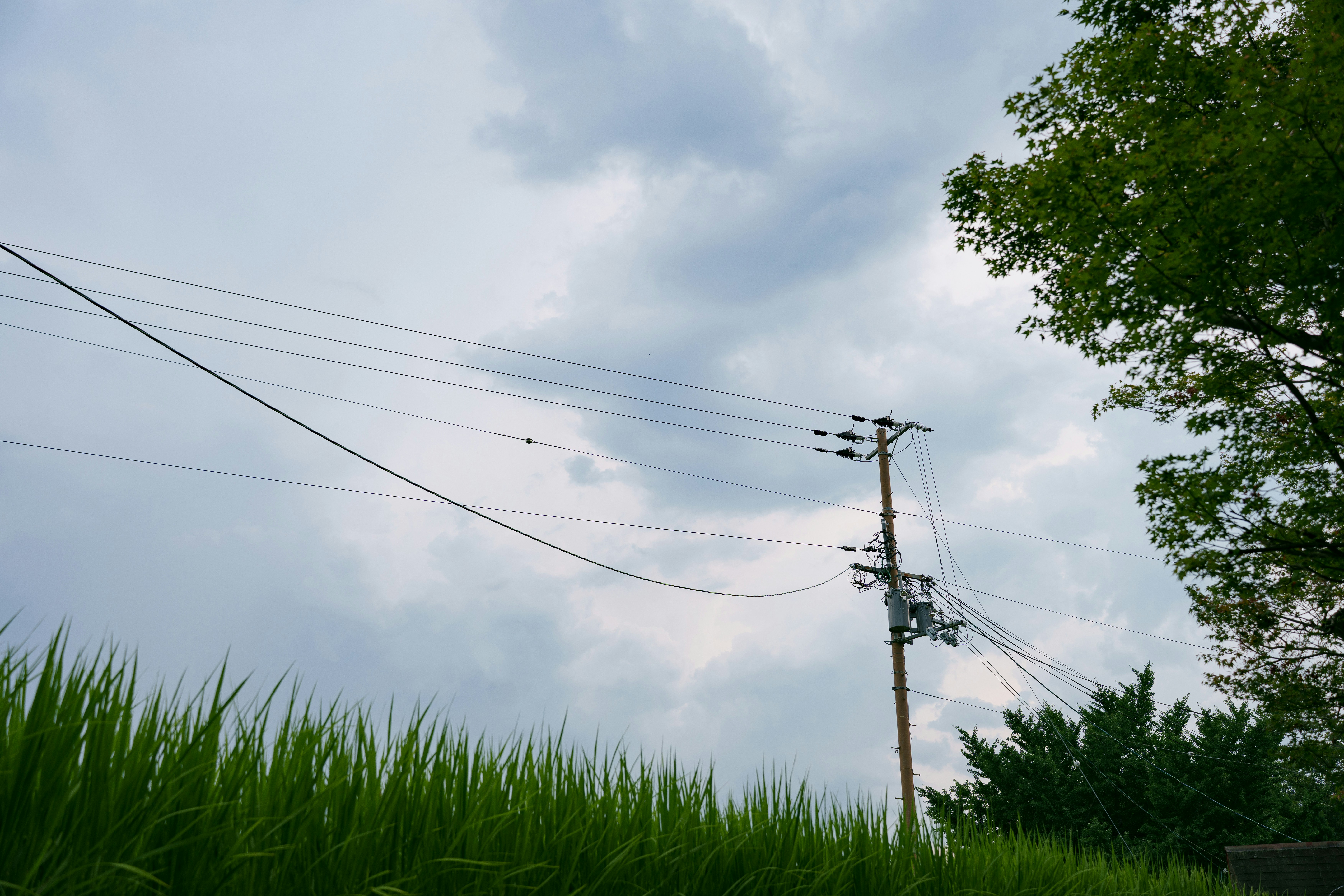 Photo by PJH with Sony Alpha 7 IV