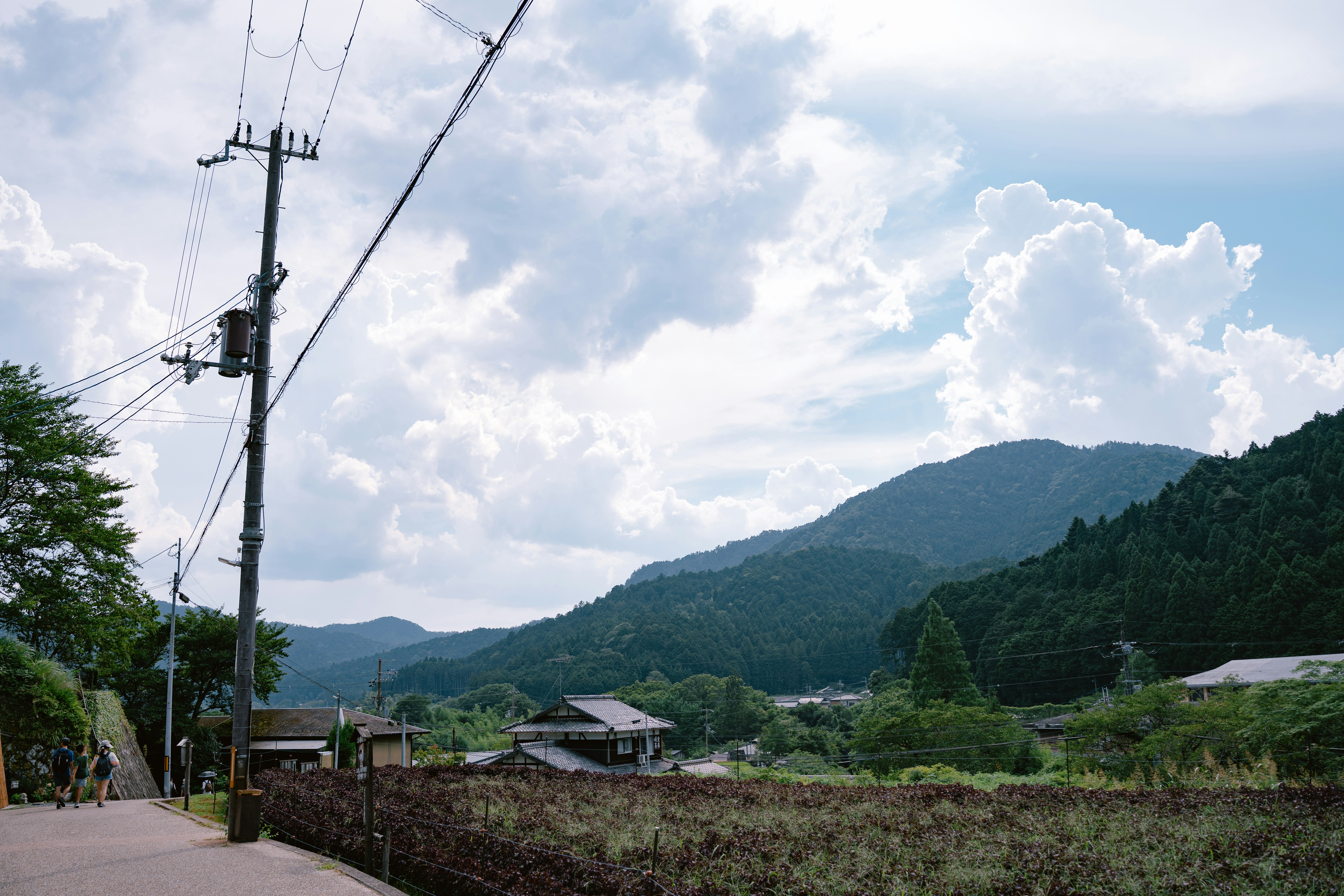 Rural Valley Road Under a Sky of Cumulus