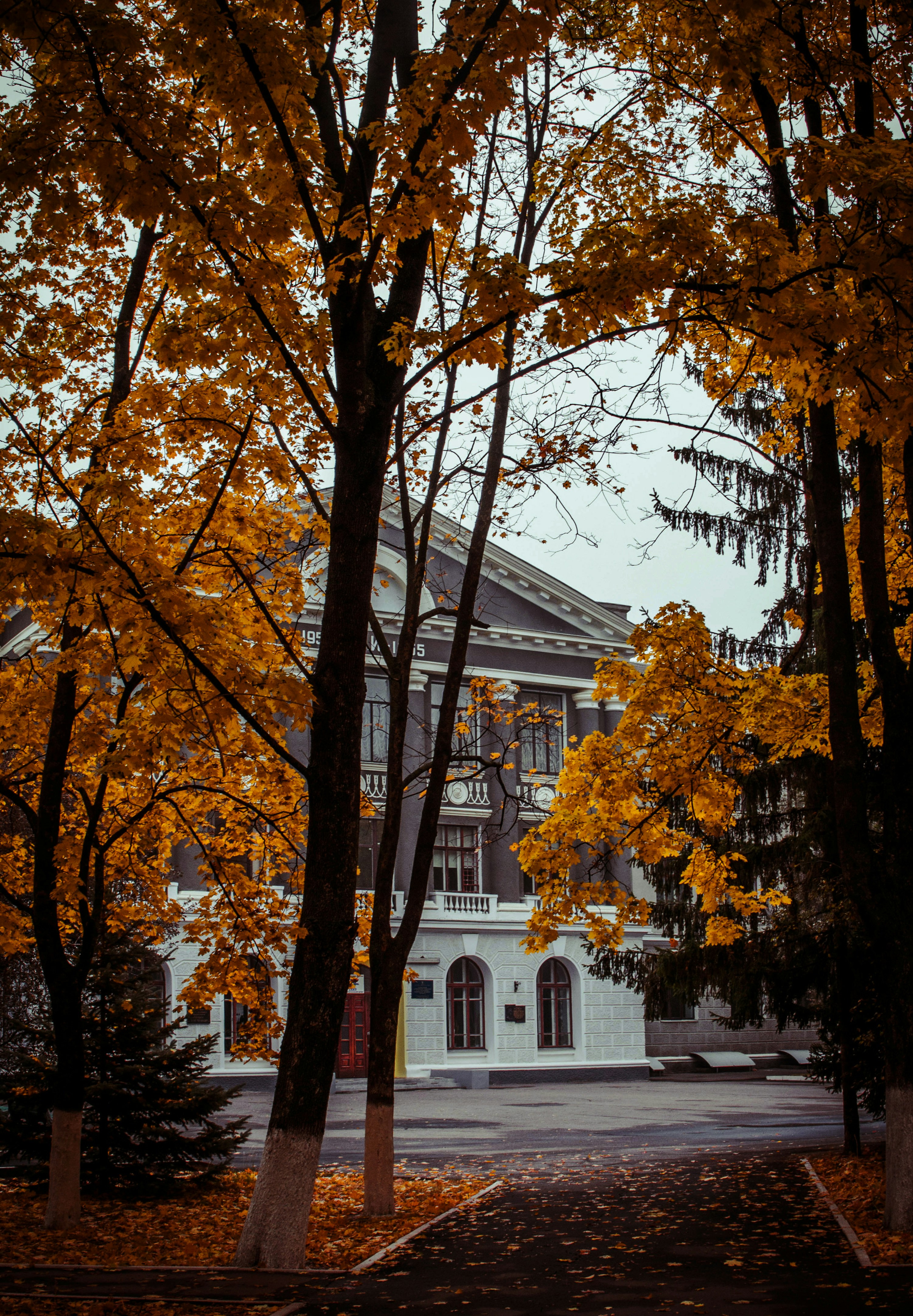 Autumn Campus Facade Peering Through Amber Canopy