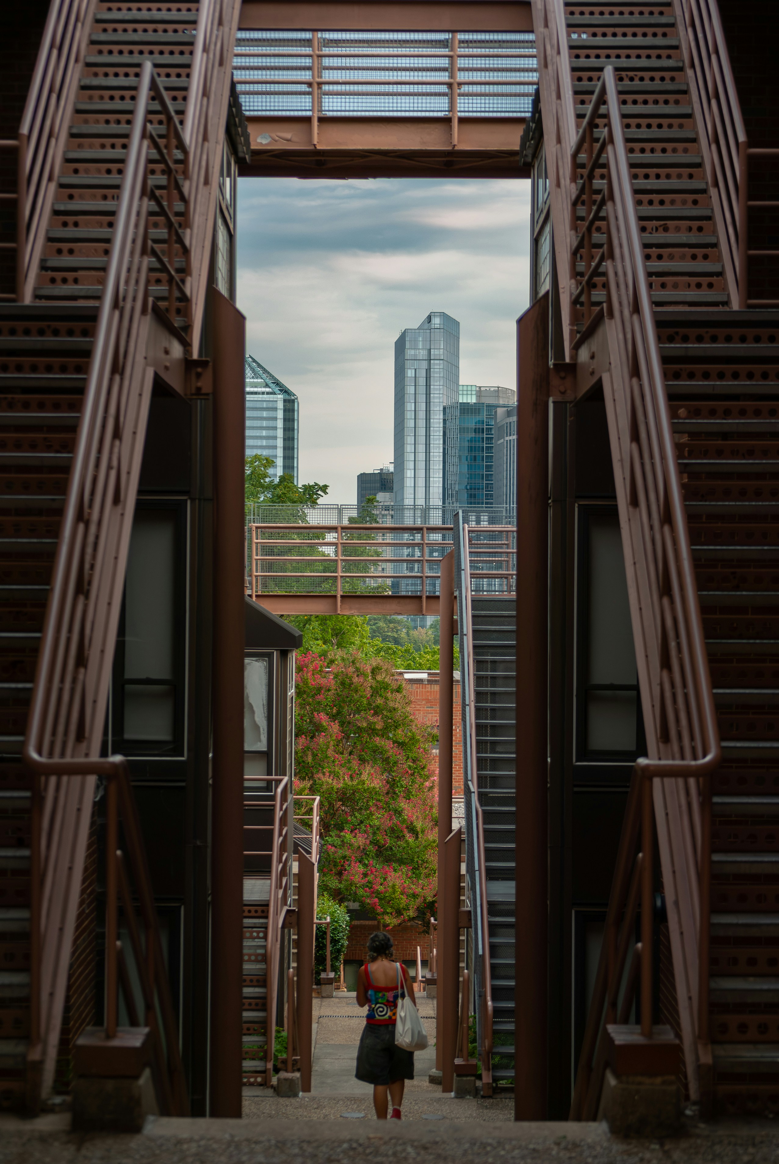 Between Steel Ribs: A Quiet Alley Framing a Skyline