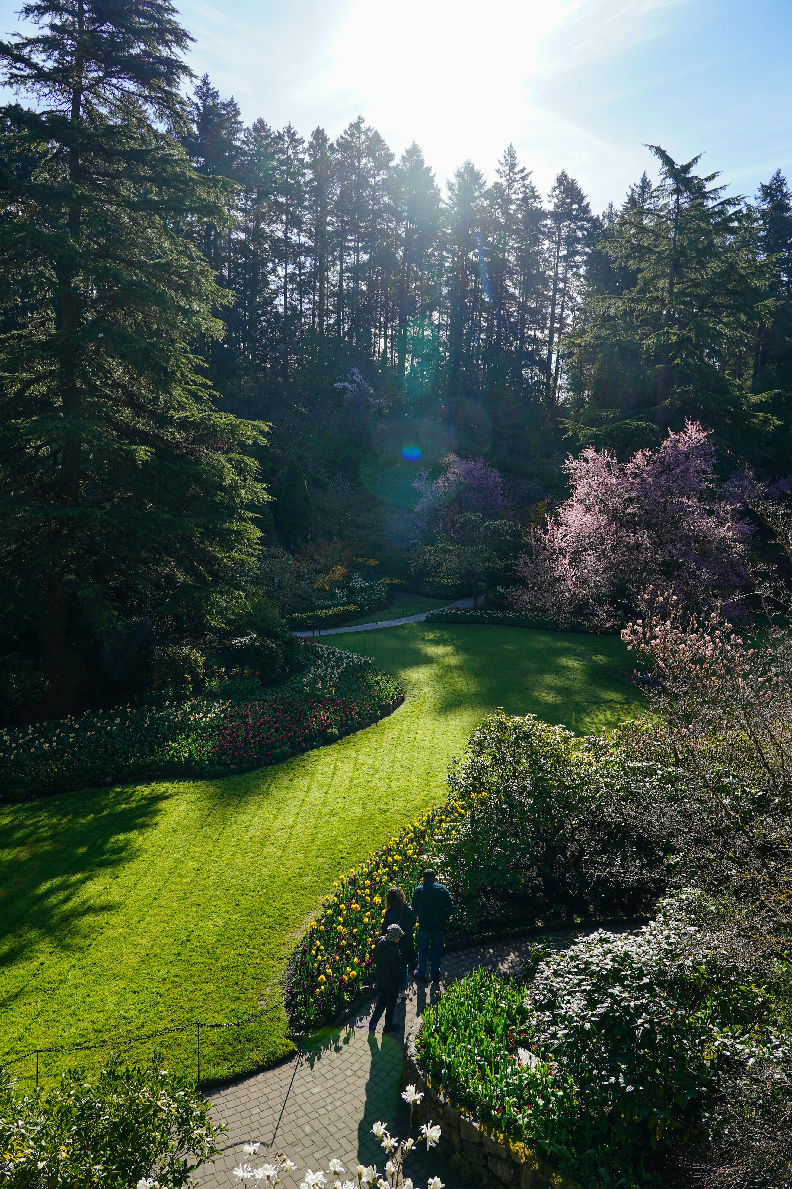 Sunlit Garden Pathways Through a Blooming Landscape