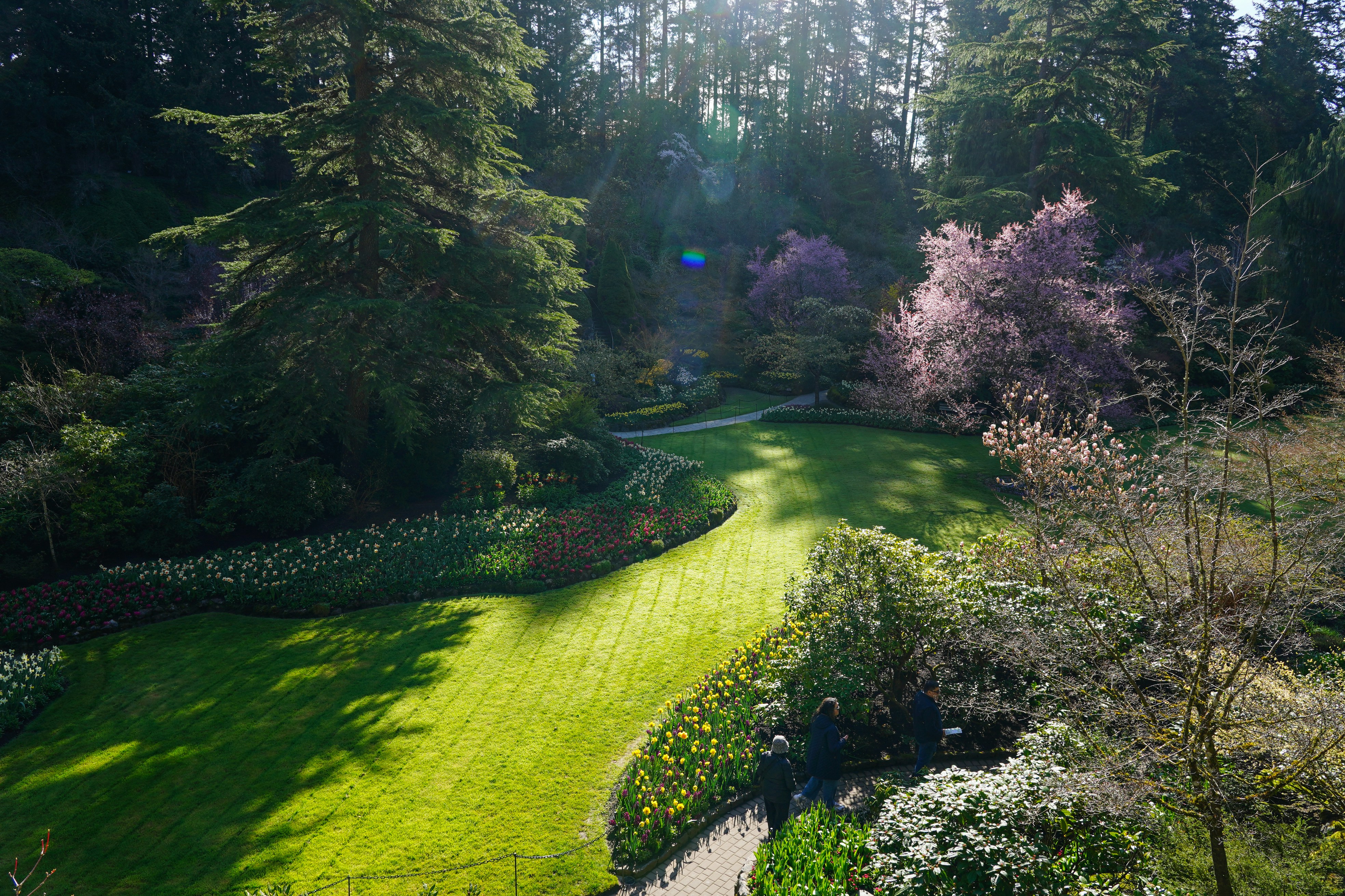 Sunlit Garden Bend: People at the Path Beneath Blossoming Trees