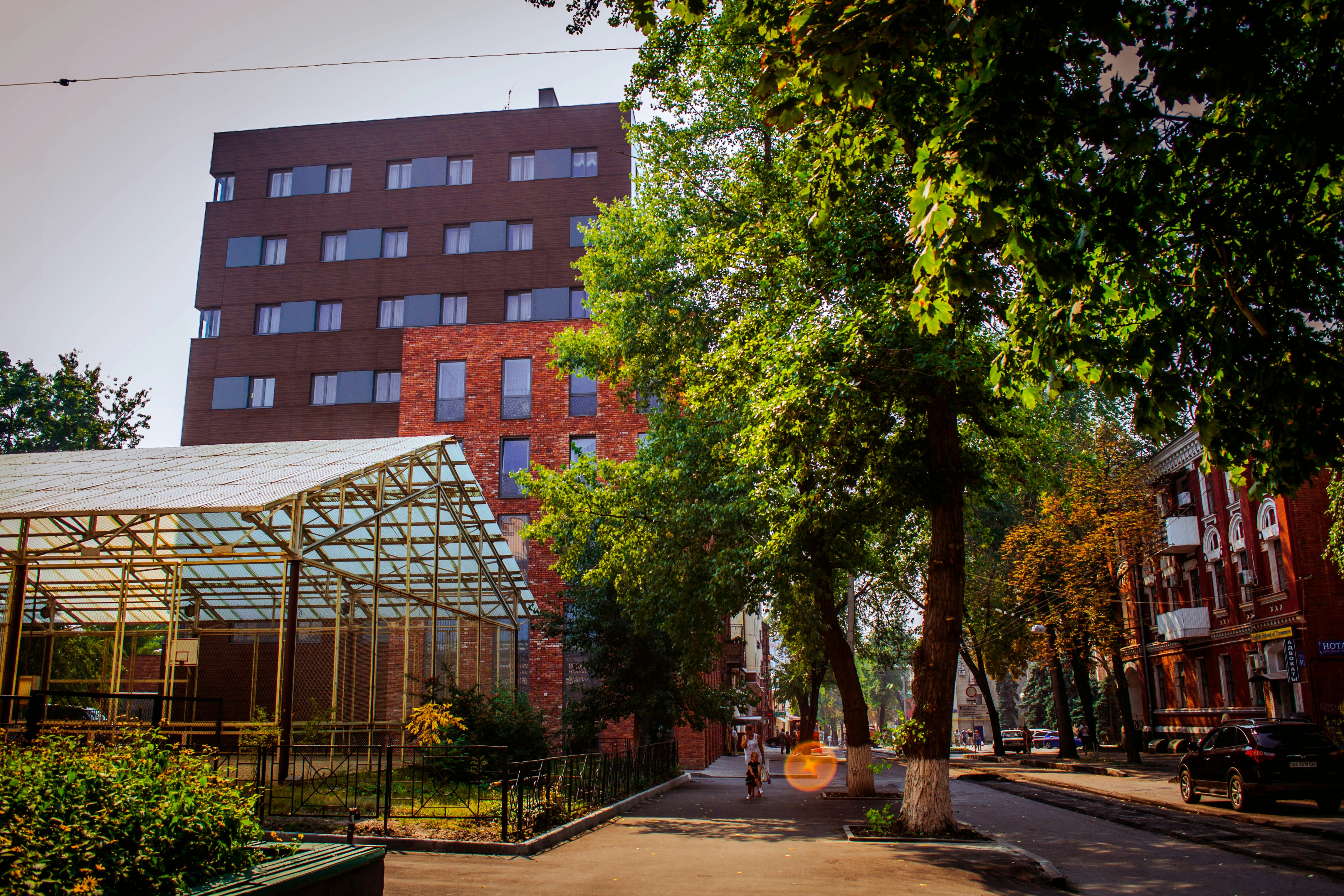 City Corridor of Light and Leafy Shade