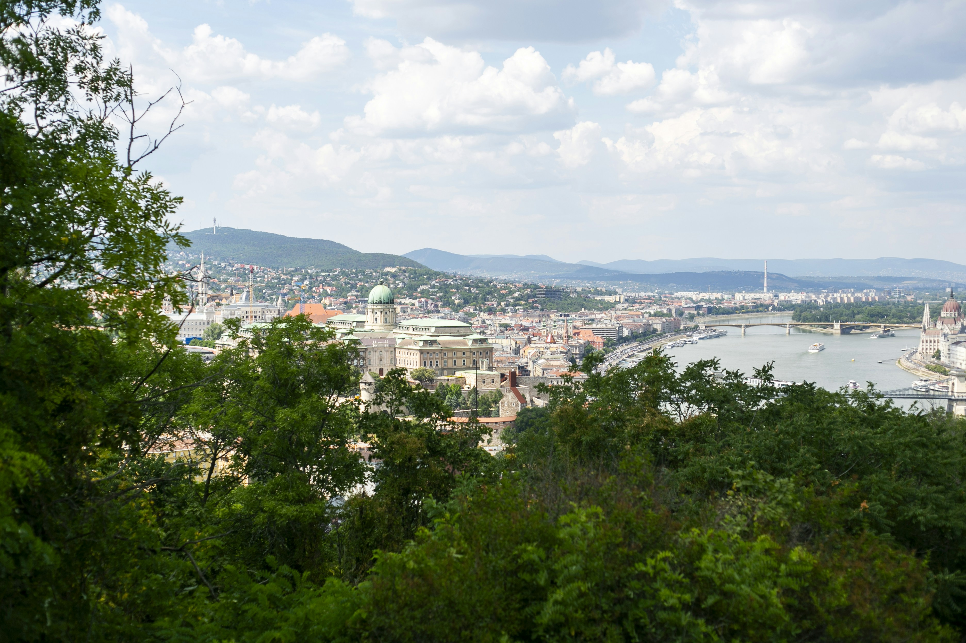 Horizon of Buda and Pest: Cityscape Peeking Through Verdant Fringes