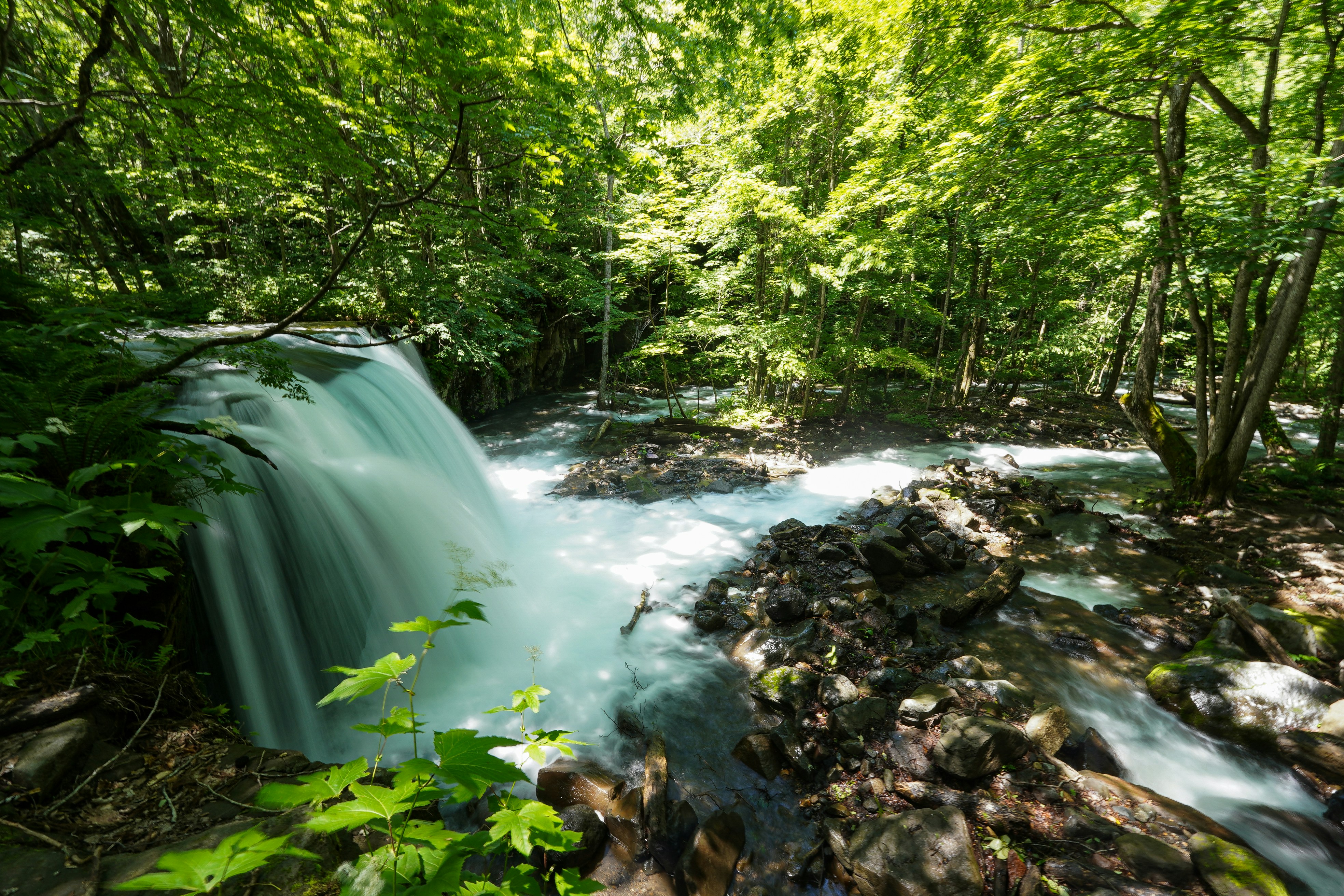 Cascading emerald dusk: misty river at the forest edge